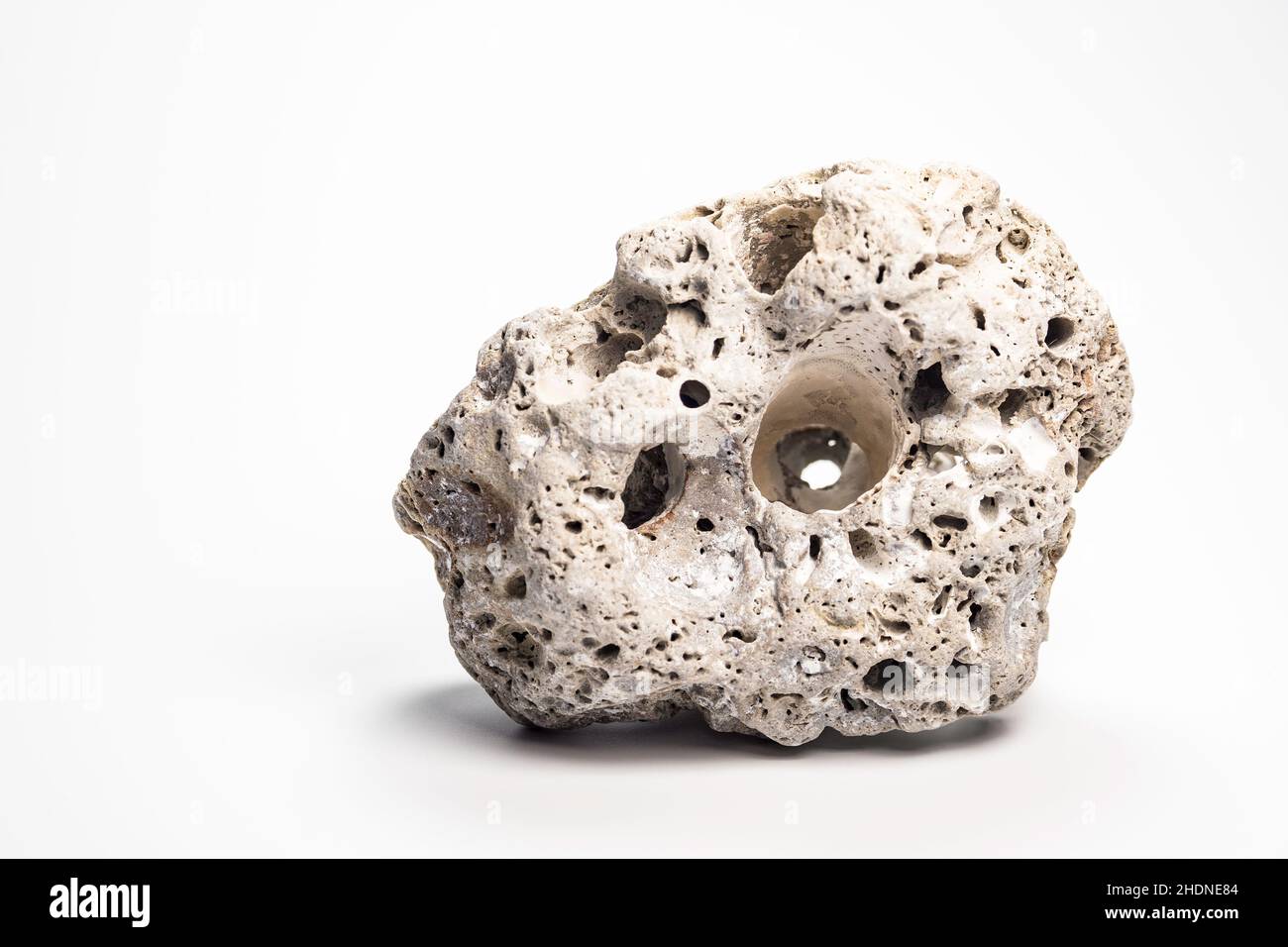 Office Paperweights Lot of 5 Hag Stones Holey StonesAdder Stones Stones ...