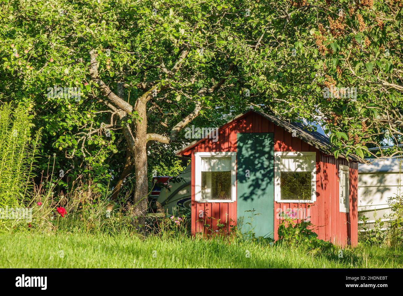 garden, cabin, sweden, apple tree, gardens, cabins, swedens, apple ...
