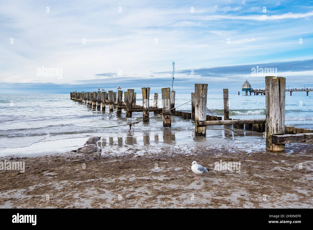 Baltic sea diving hi-res stock photography and images - Alamy