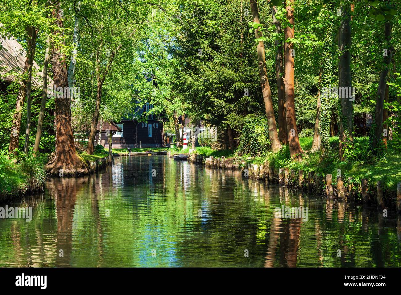 spree forest, cultural landscape, spree forests, cultural landscapes ...