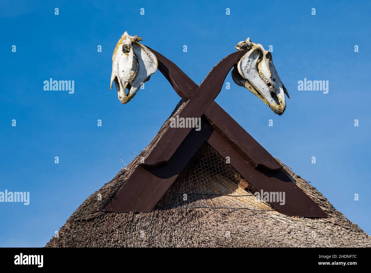 gable, animal skull, gables, animal skulls Stock Photo - Alamy