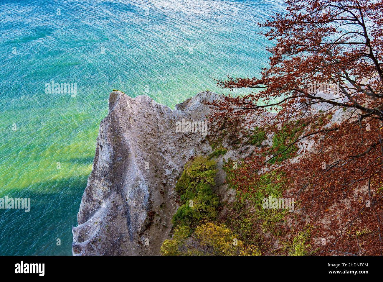 chalk rock, mons klint, chalk rocks Stock Photo - Alamy