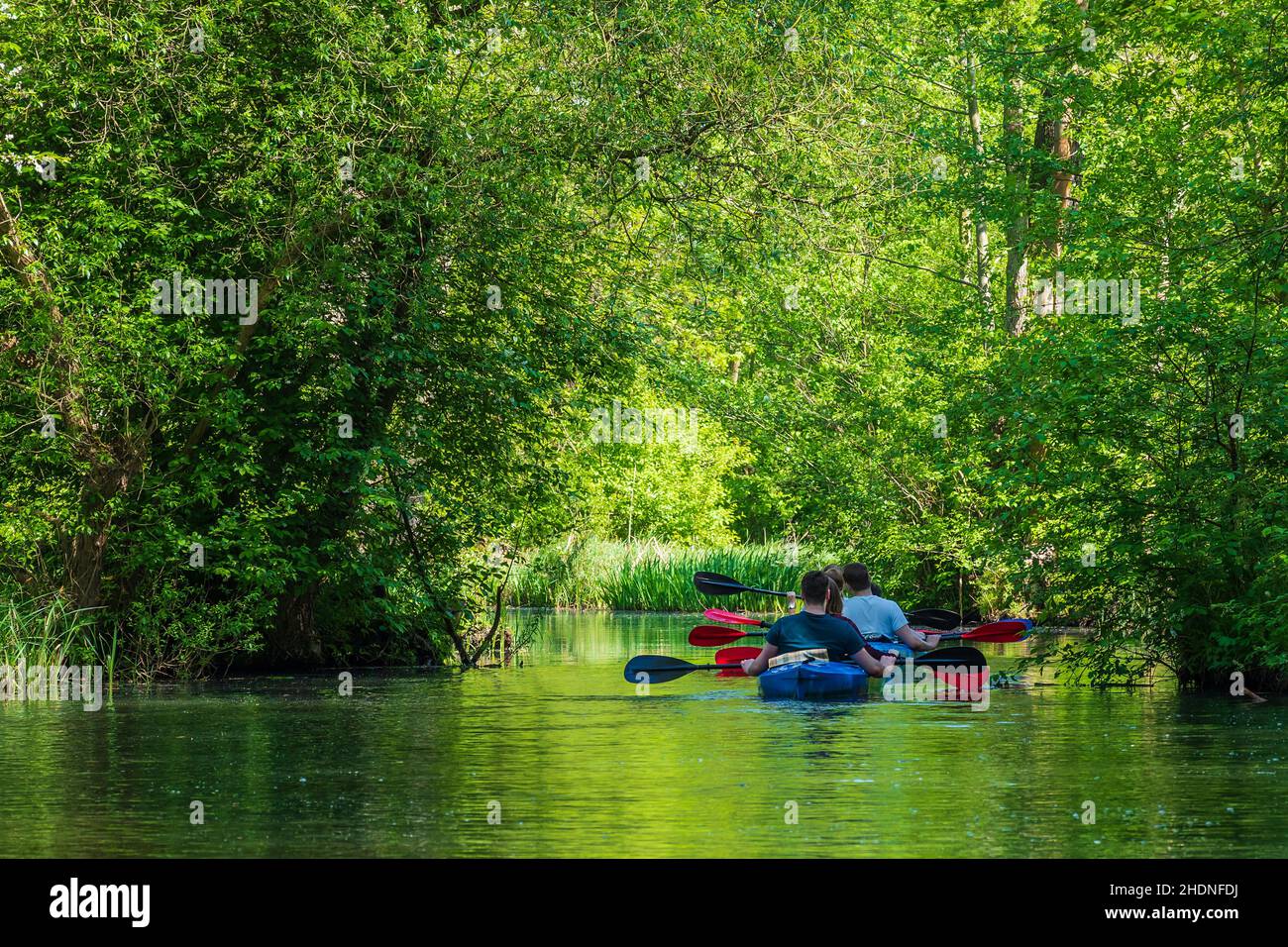 Landscape canoes rivers forest hi-res stock photography and images - Alamy
