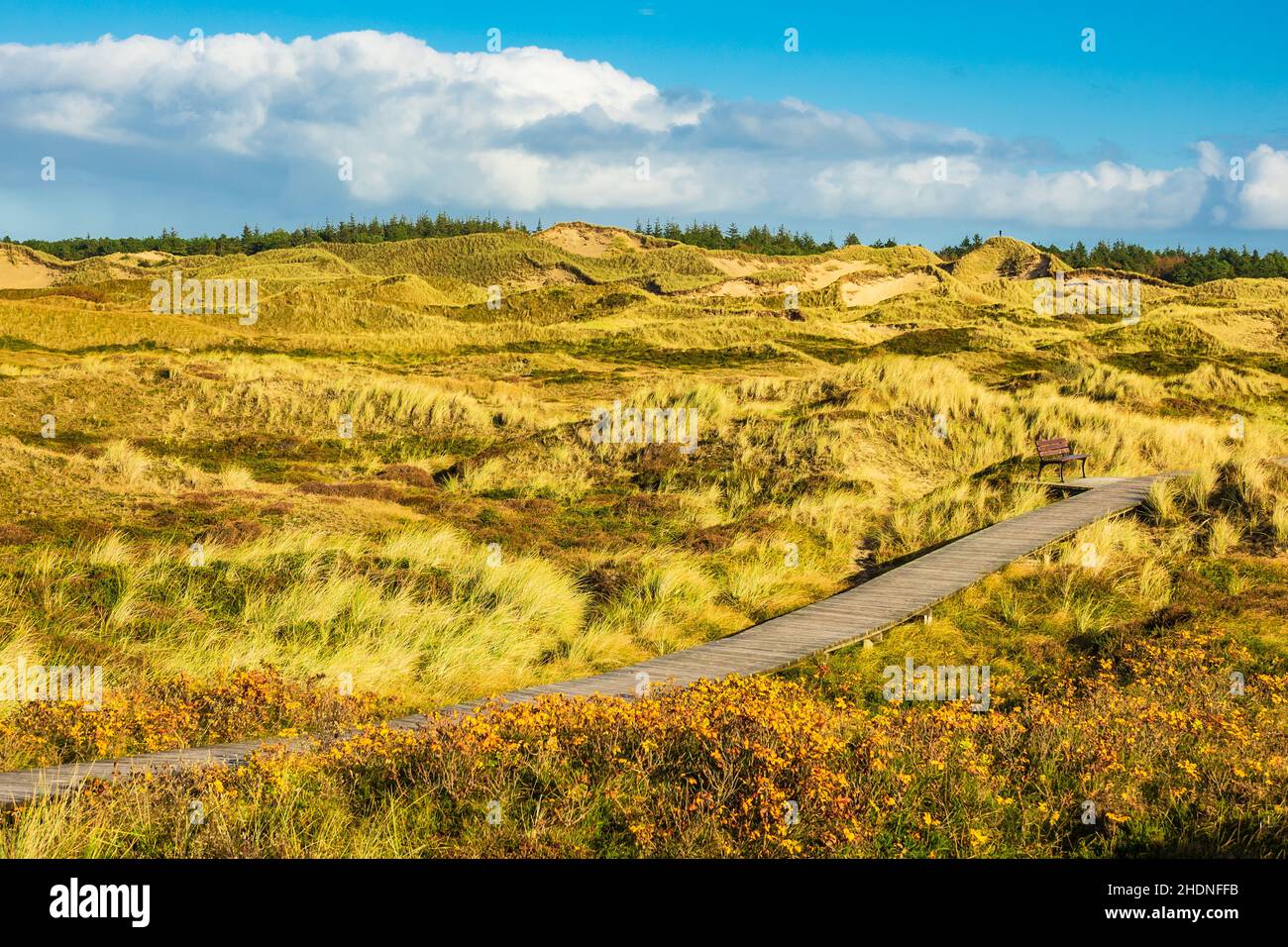 footpath, dune, amrum, footpaths, dunes, amrums Stock Photo - Alamy
