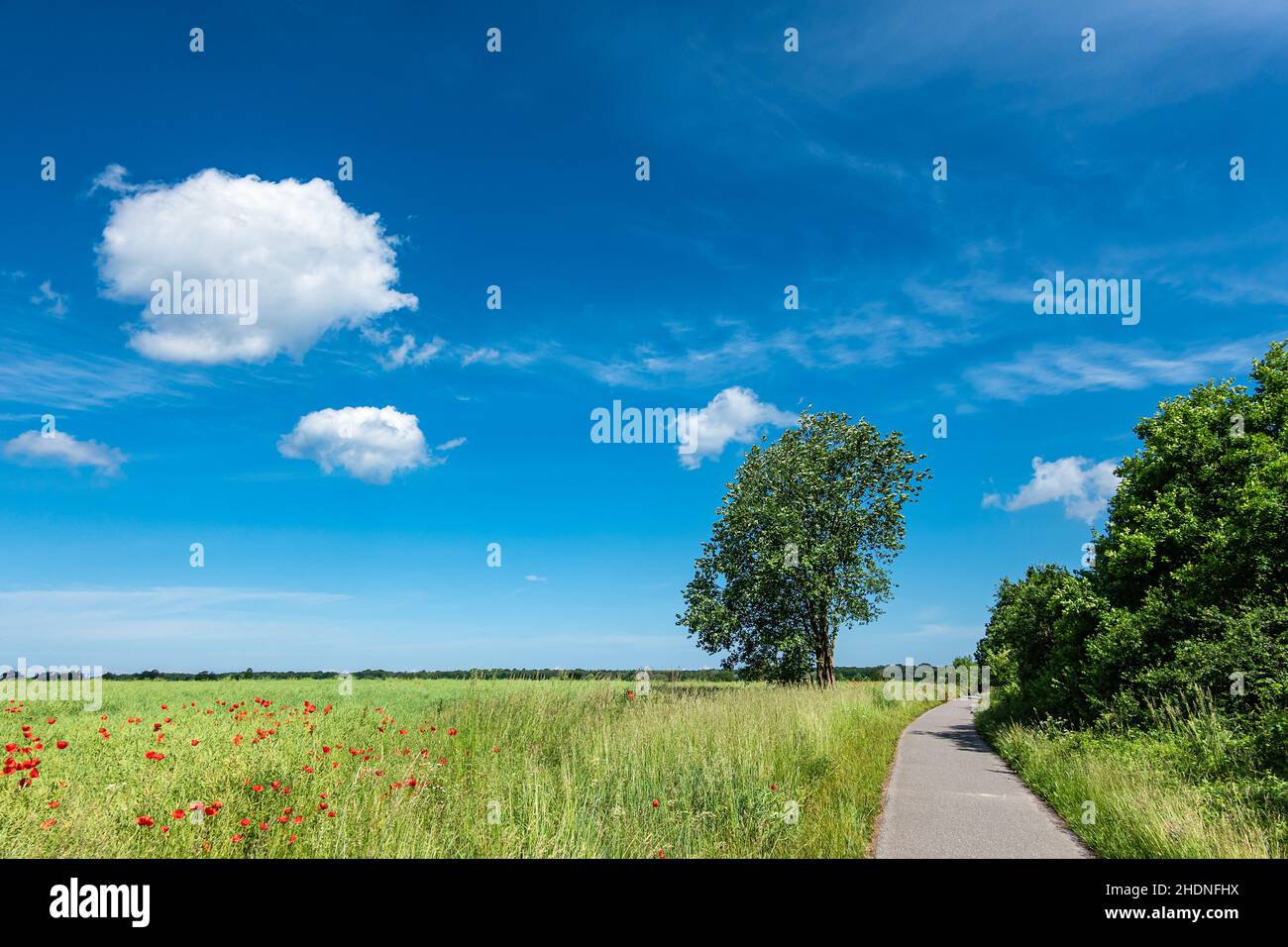 field, bike lane, fields, bicycle lane, bike lanes, bike path, cycle ...