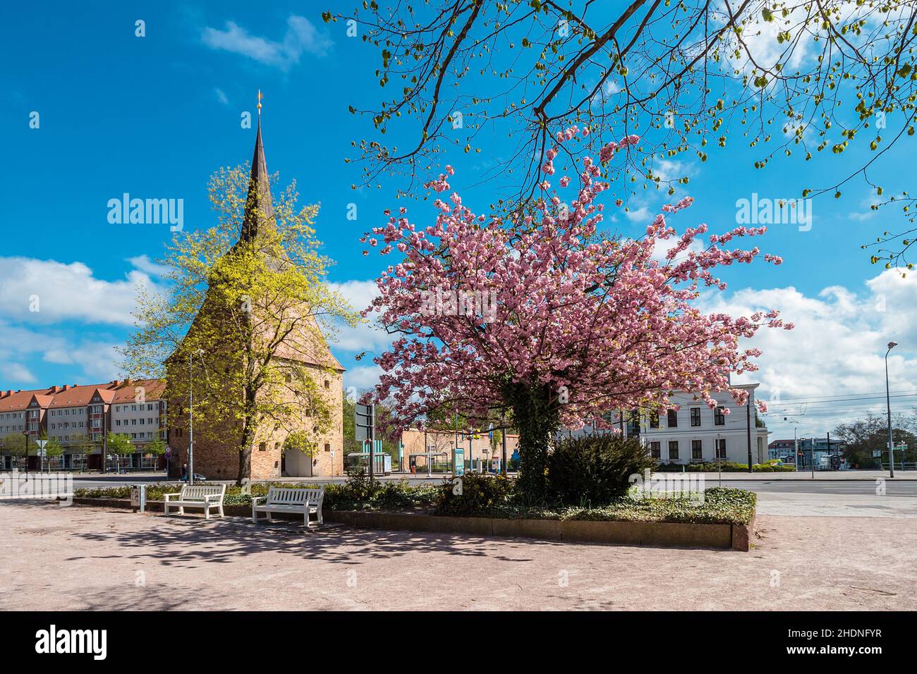 spring, rostock, stone gate, rostocks, stone gates Stock Photo - Alamy