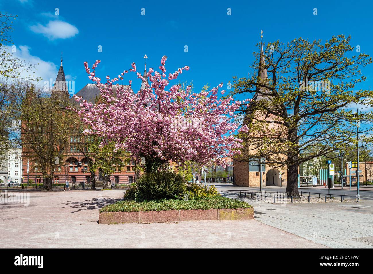 spring, old town, rostock, old towns, rostocks Stock Photo - Alamy