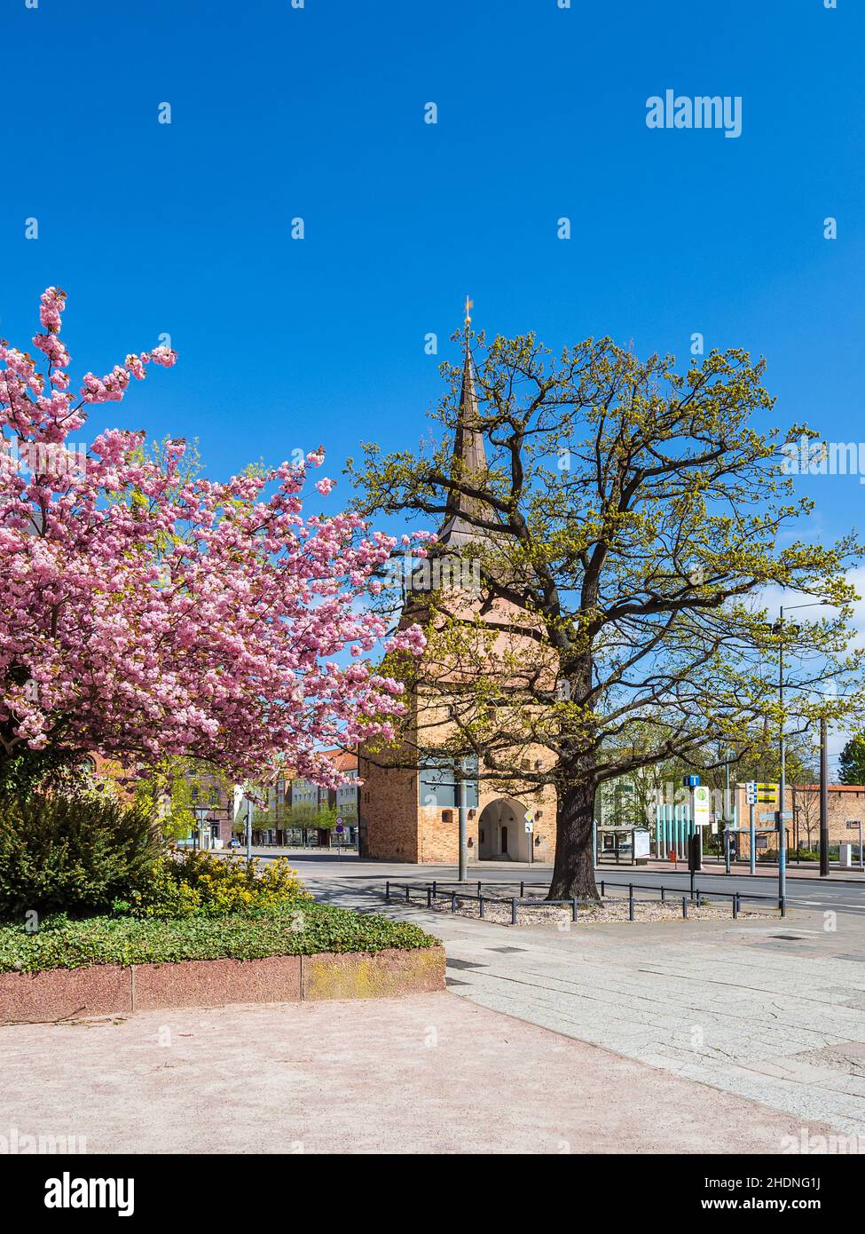 spring, rostock, stone gate, rostocks, stone gates Stock Photo - Alamy