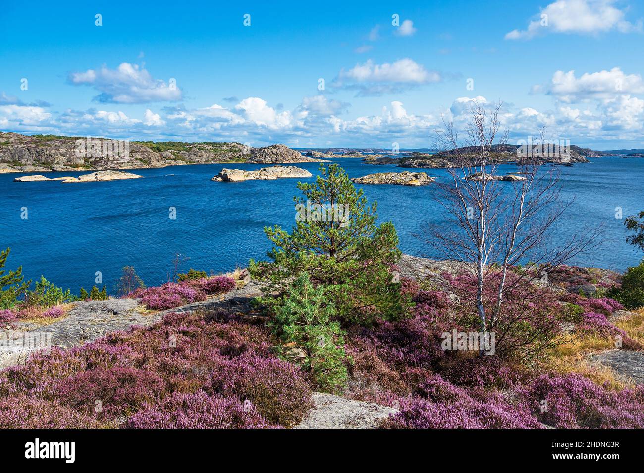 sharp garden, archipelago, skerry island, schärengartens, archipelagos ...