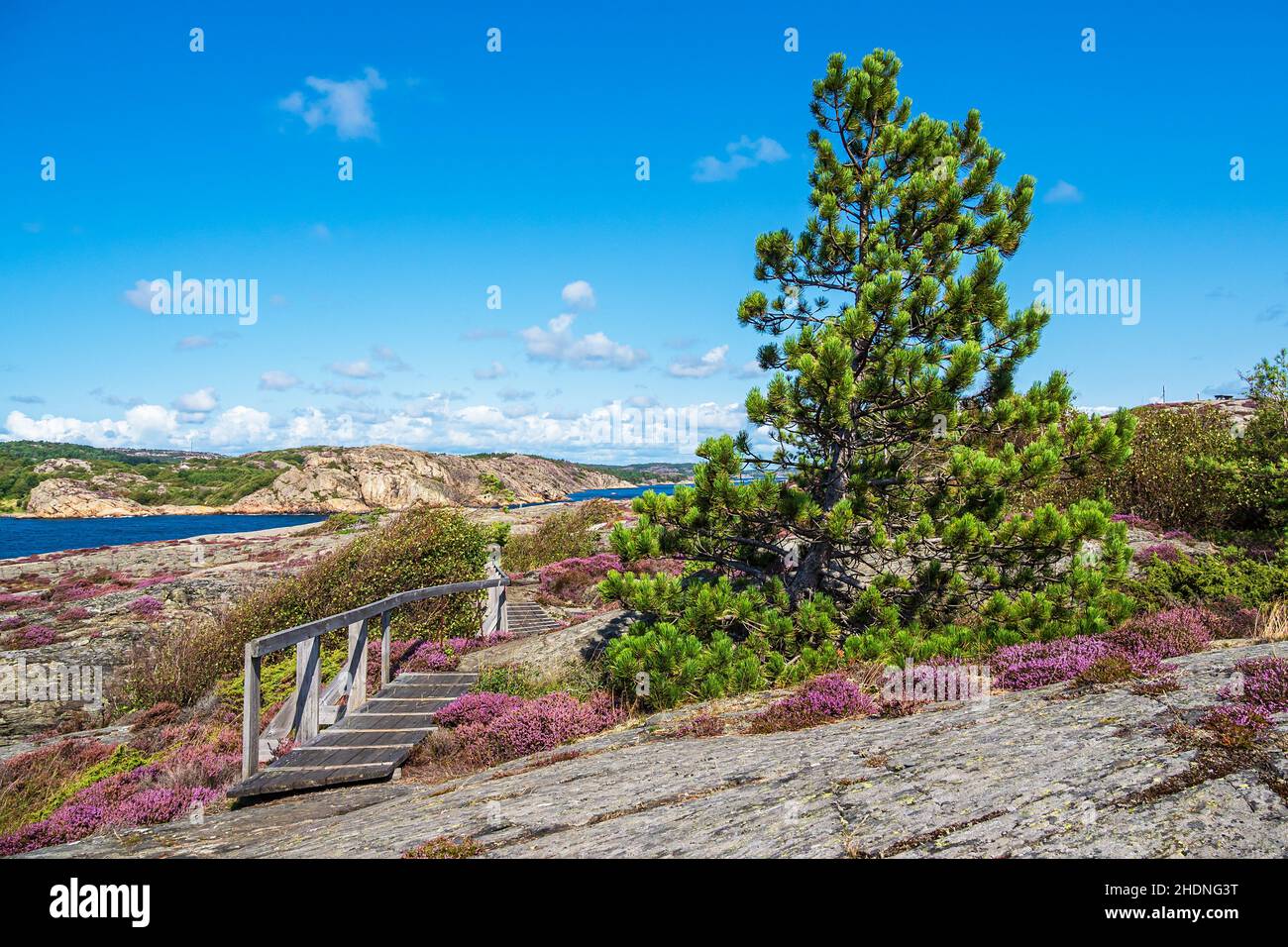 Skerry rocks hi-res stock photography and images - Alamy