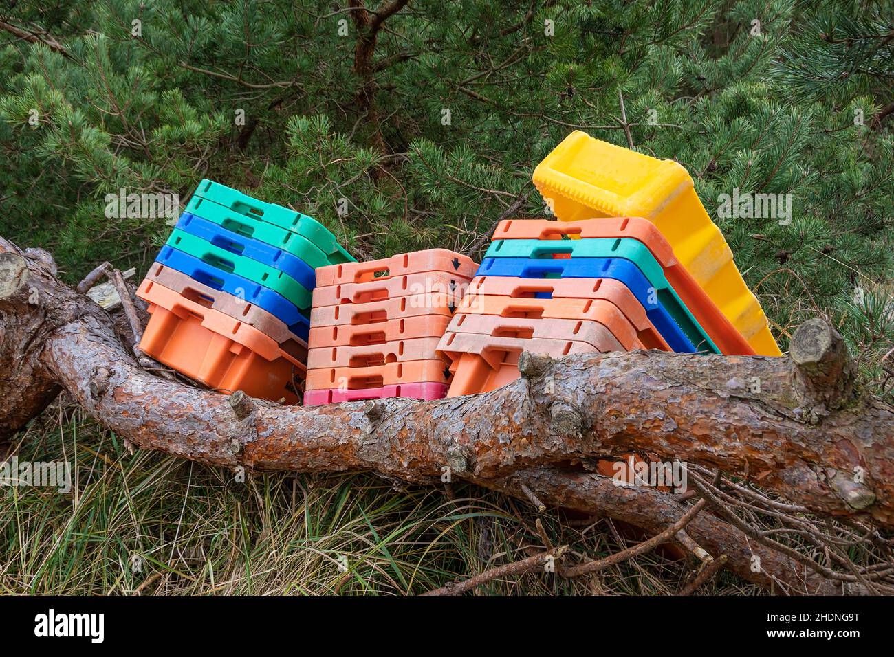 chest, fish box, chests, fish boxs Stock Photo - Alamy
