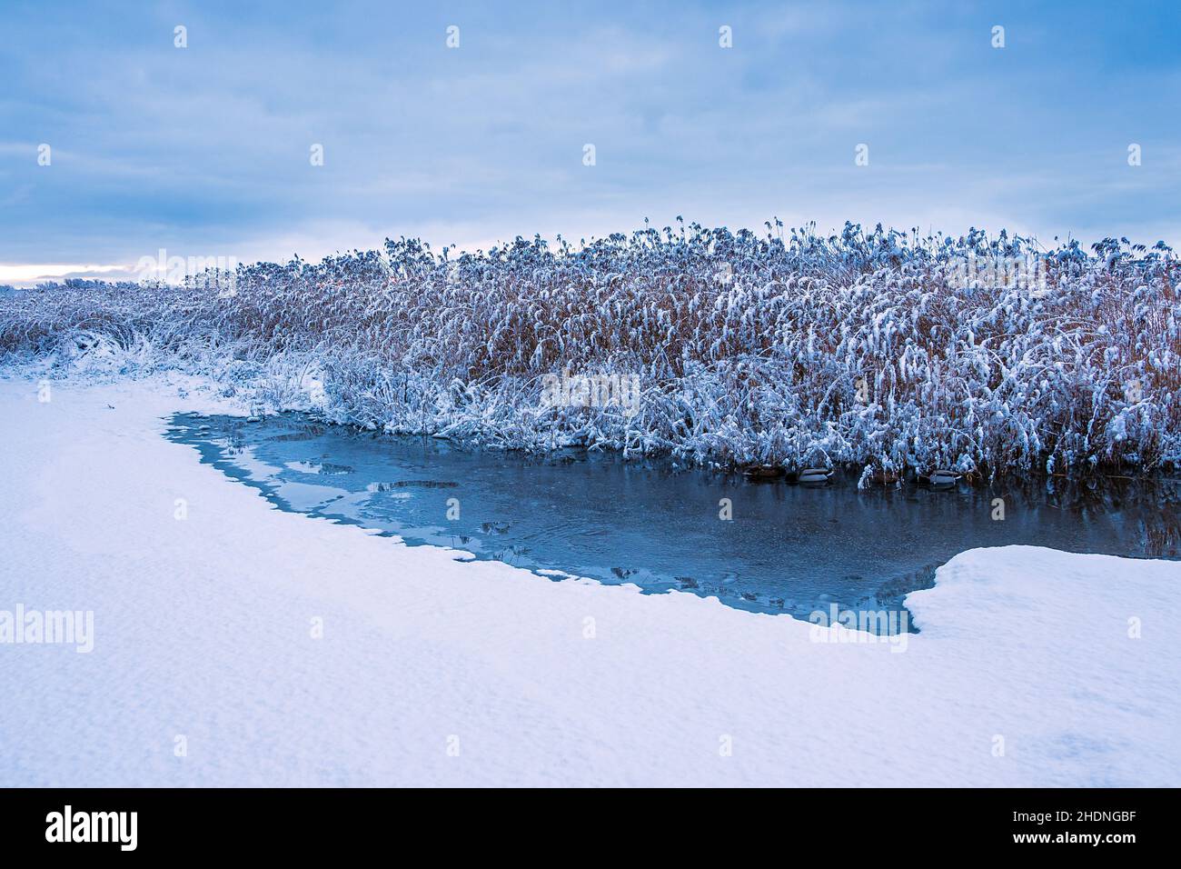 Ice and rivers hi-res stock photography and images - Alamy