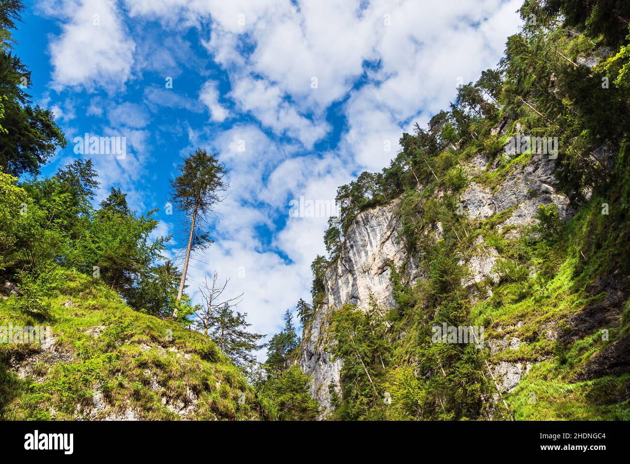 ravine, almbachklamm, ravines, almbachklamms Stock Photo - Alamy
