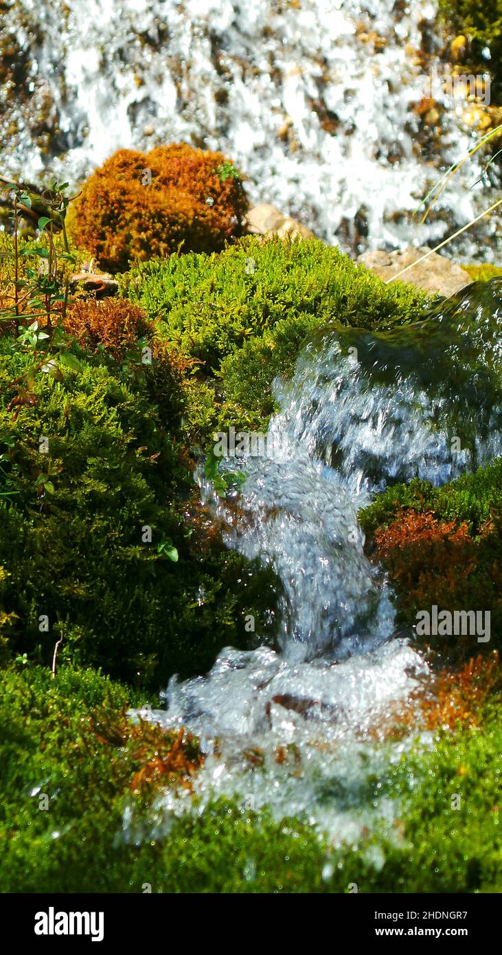 Drinking water sources hi-res stock photography and images - Alamy