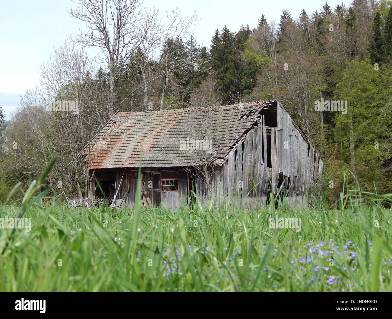 Old barns in the woods hi-res stock photography and images - Alamy