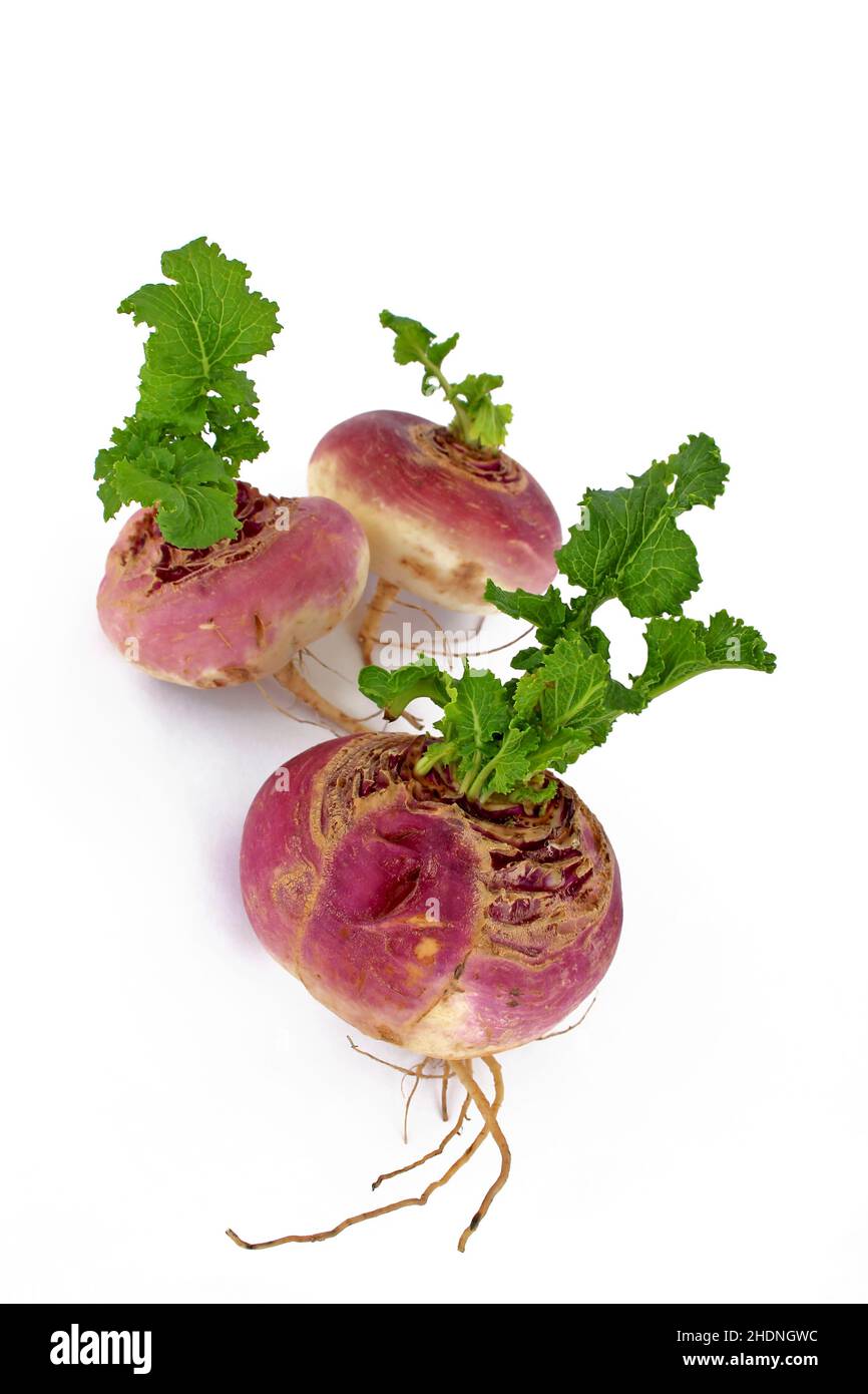 Raw rutabagas hi-res stock photography and images - Alamy