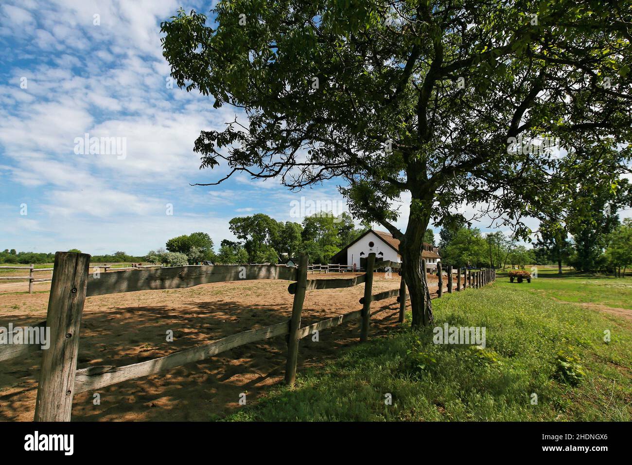 paddock, ranch, paddocks, horse farm, ranchs Stock Photo - Alamy