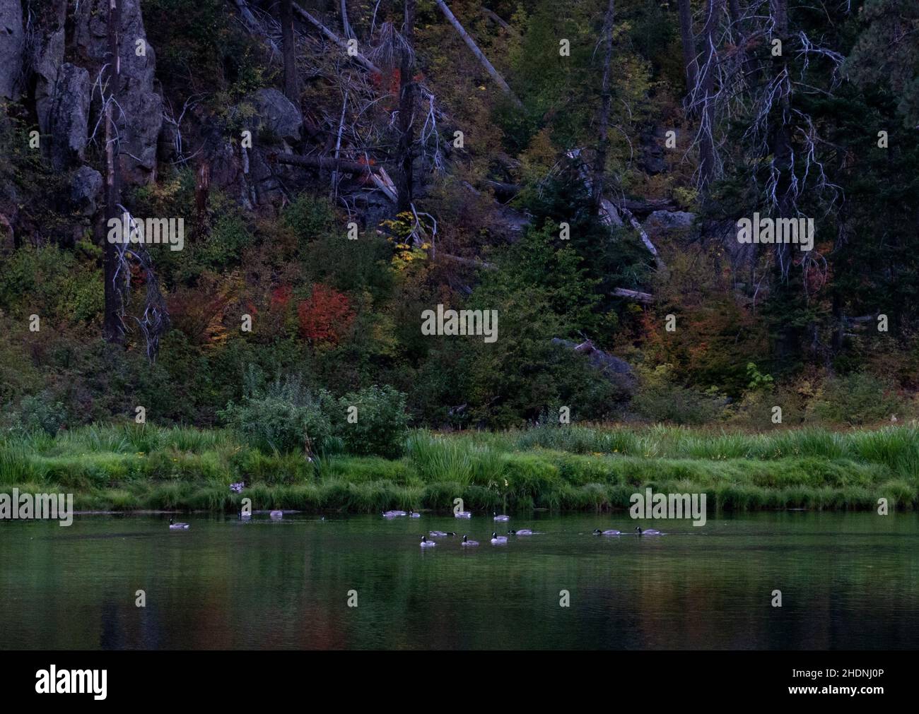 Wenatchee river hi-res stock photography and images - Alamy