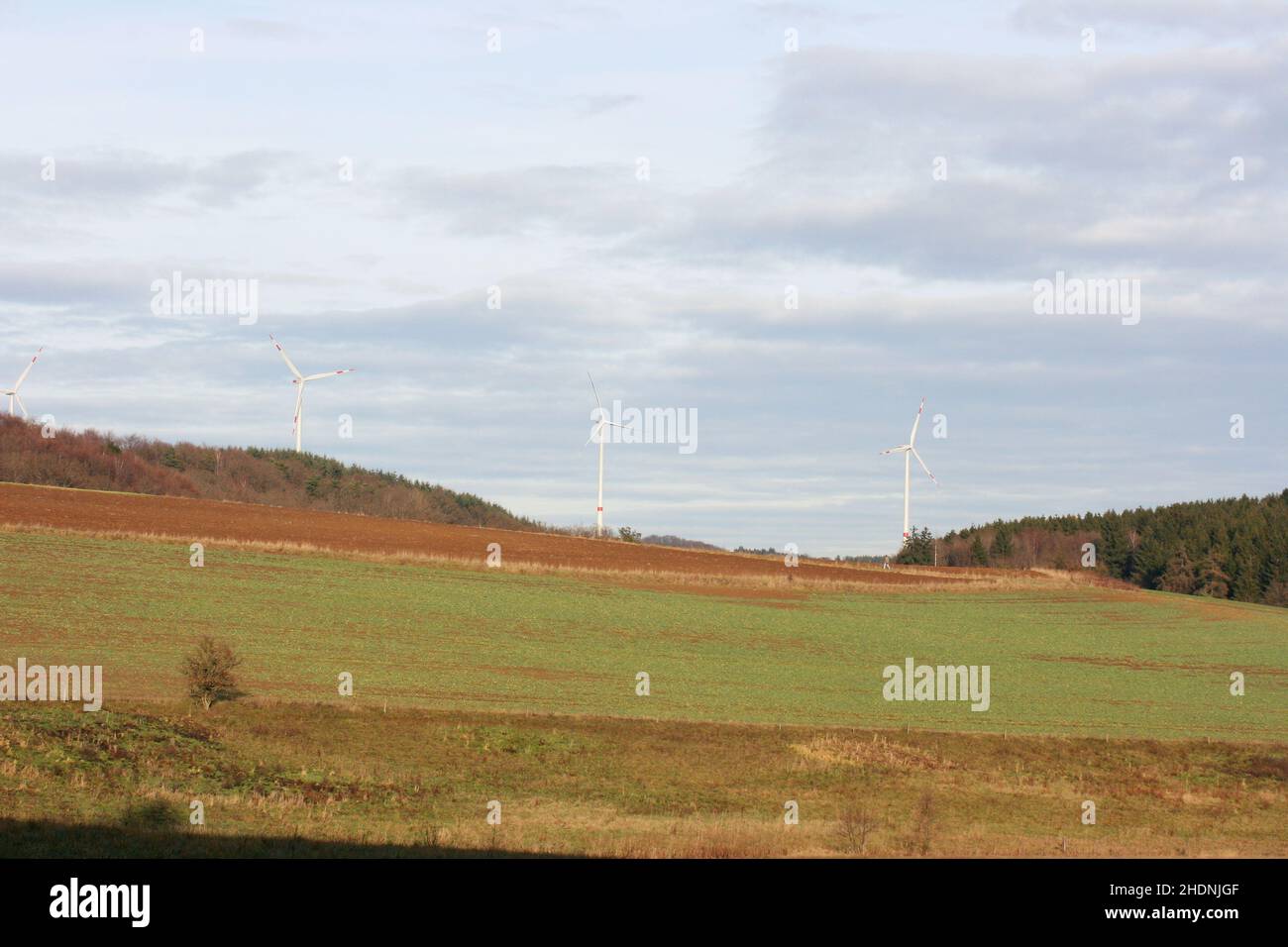field, pinwheel, fields, pinwheels Stock Photo - Alamy