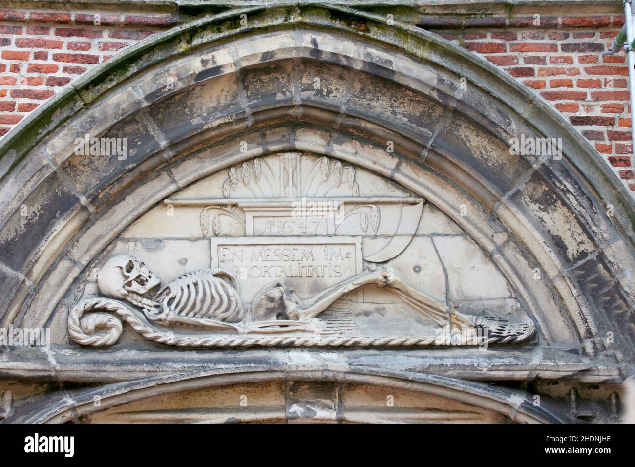 skeleton, relief, skeletons Stock Photo - Alamy