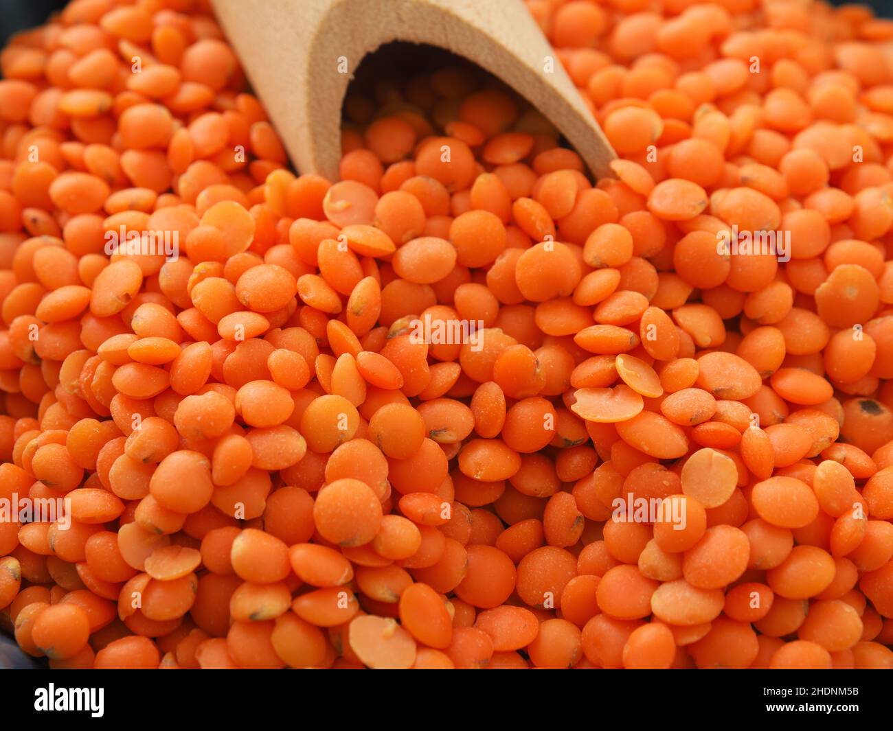 lentil, red lentils, lentils, red lentil Stock Photo - Alamy