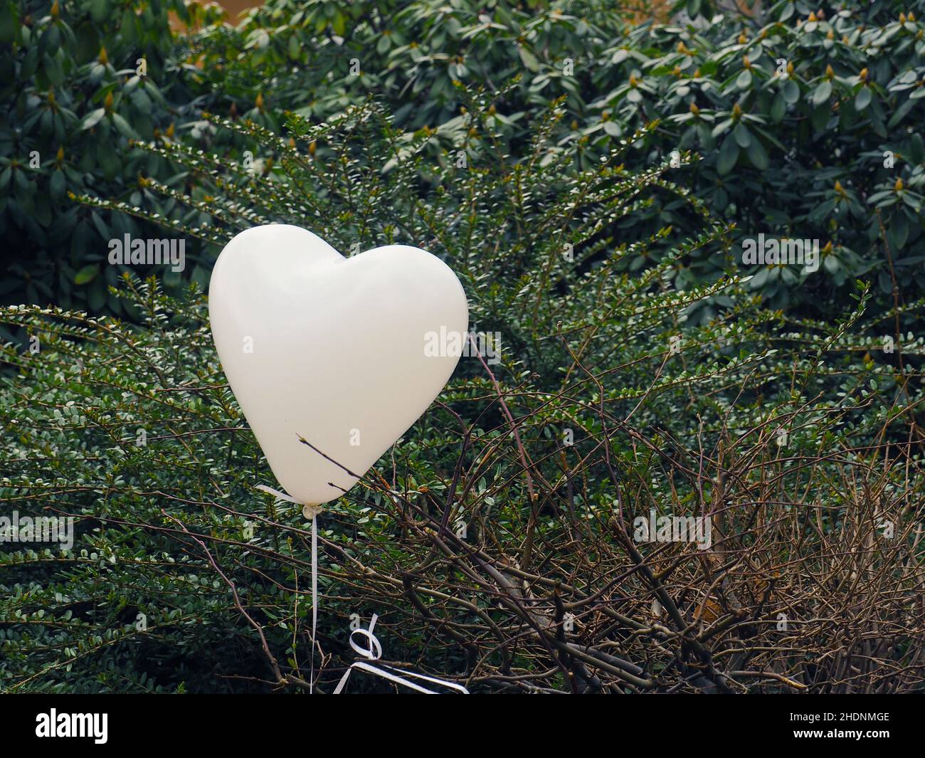 Balloon stuck hi-res stock photography and images - Alamy