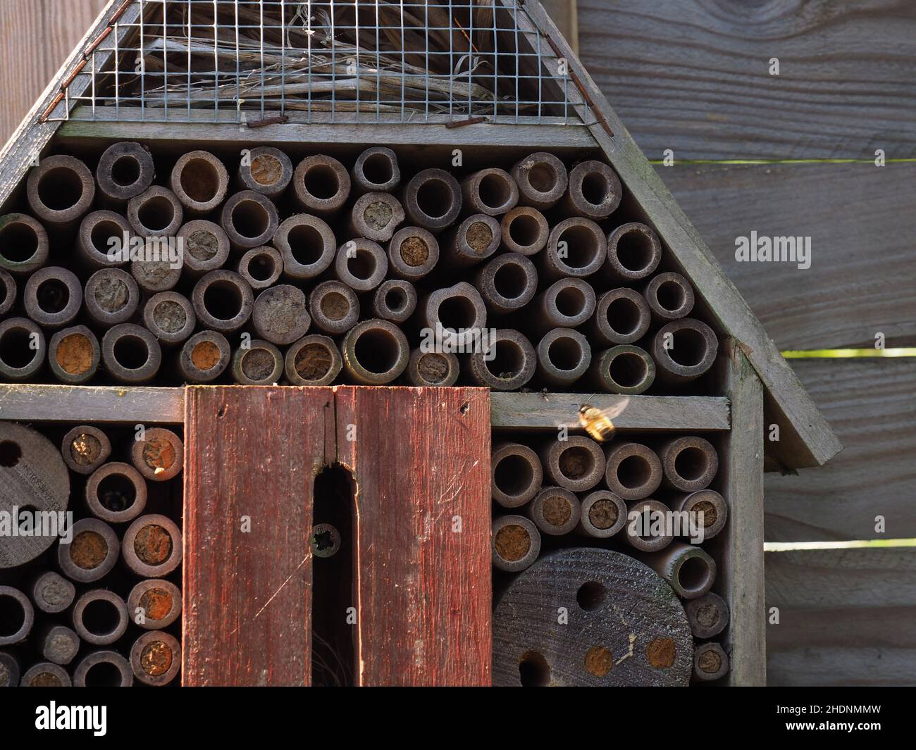 insect nest, insect house, insect hotel, insect nests, insect houses ...