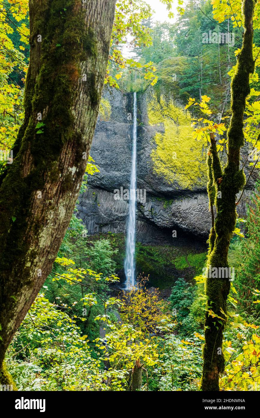 Latourell Falls, located in the Columbia River Gorge in Oregon, plunges ...