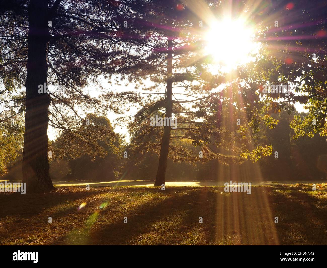 Sunray light beams hi-res stock photography and images - Alamy