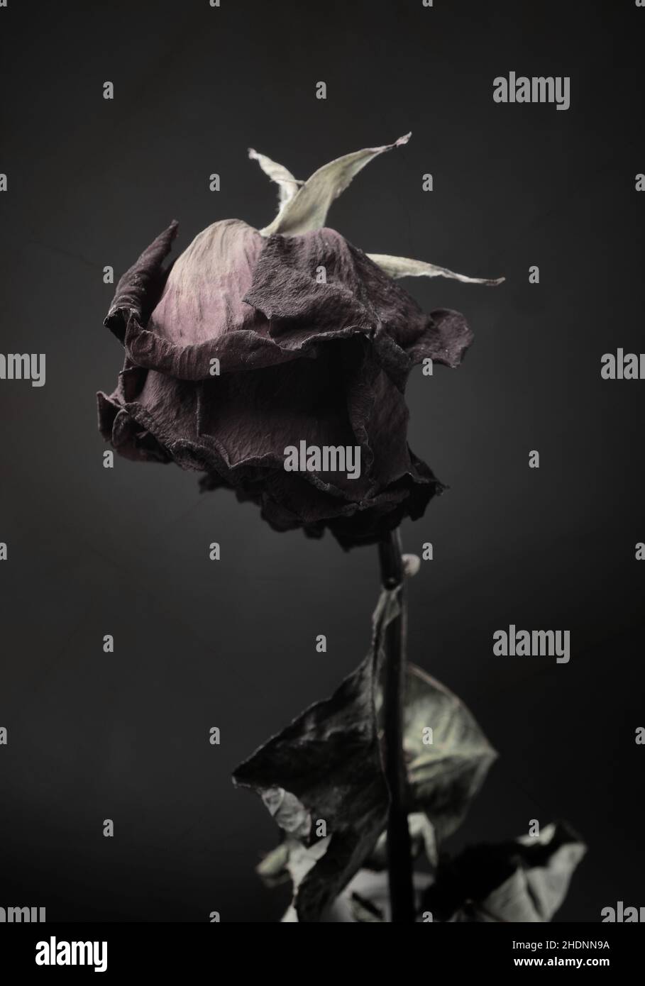 Faded symbol hi-res stock photography and images - Alamy