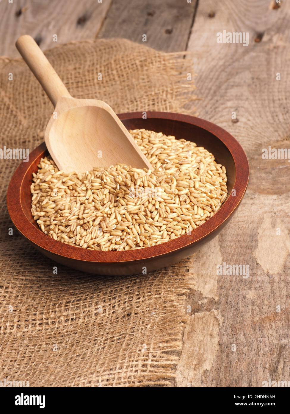 oats grain, oats grains Stock Photo - Alamy