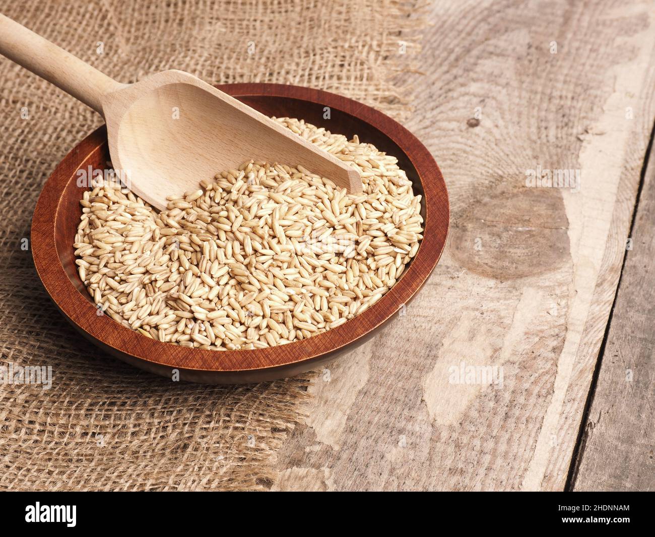 oats grain, oats grains Stock Photo - Alamy