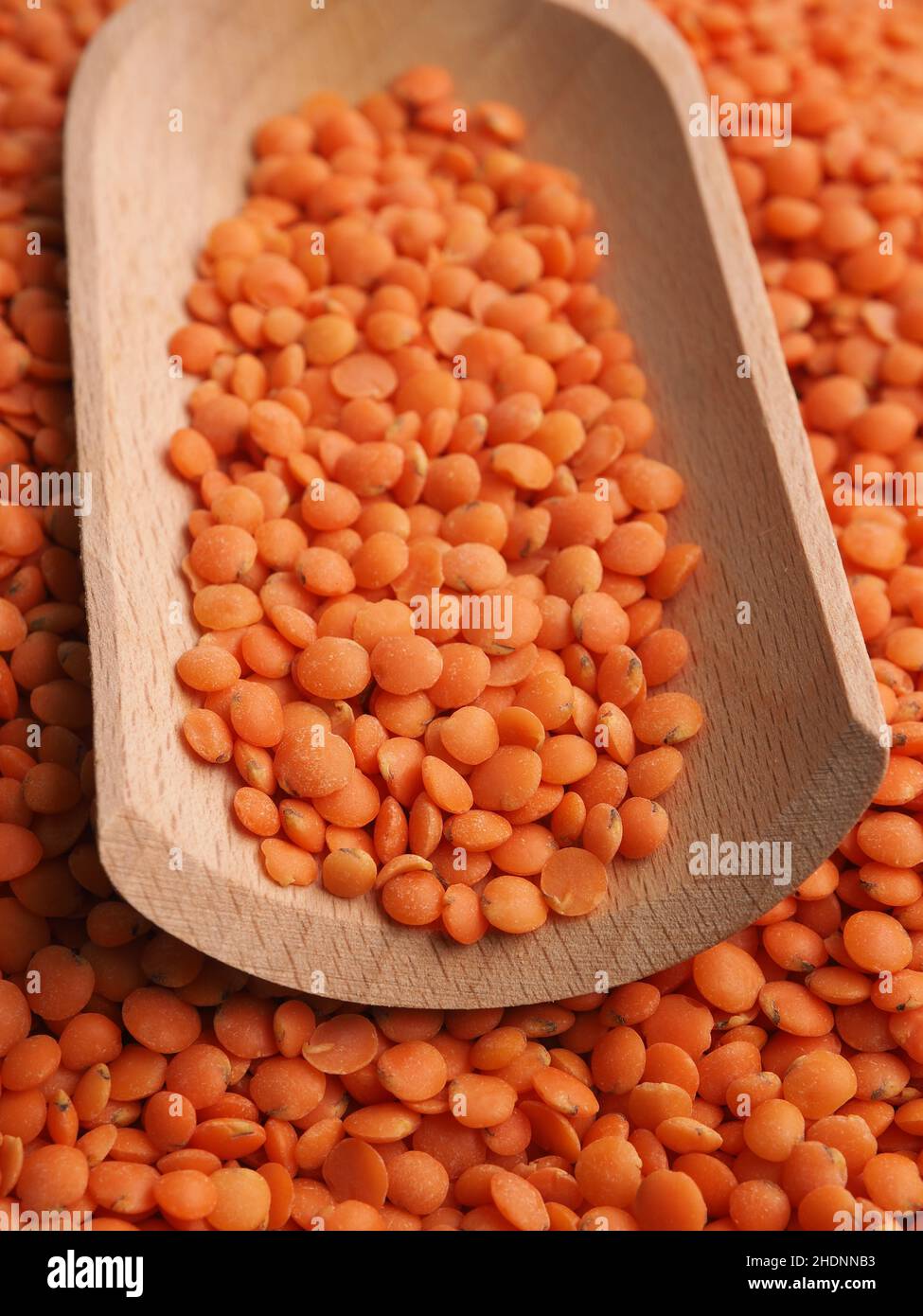 red lentils, red lentil Stock Photo - Alamy