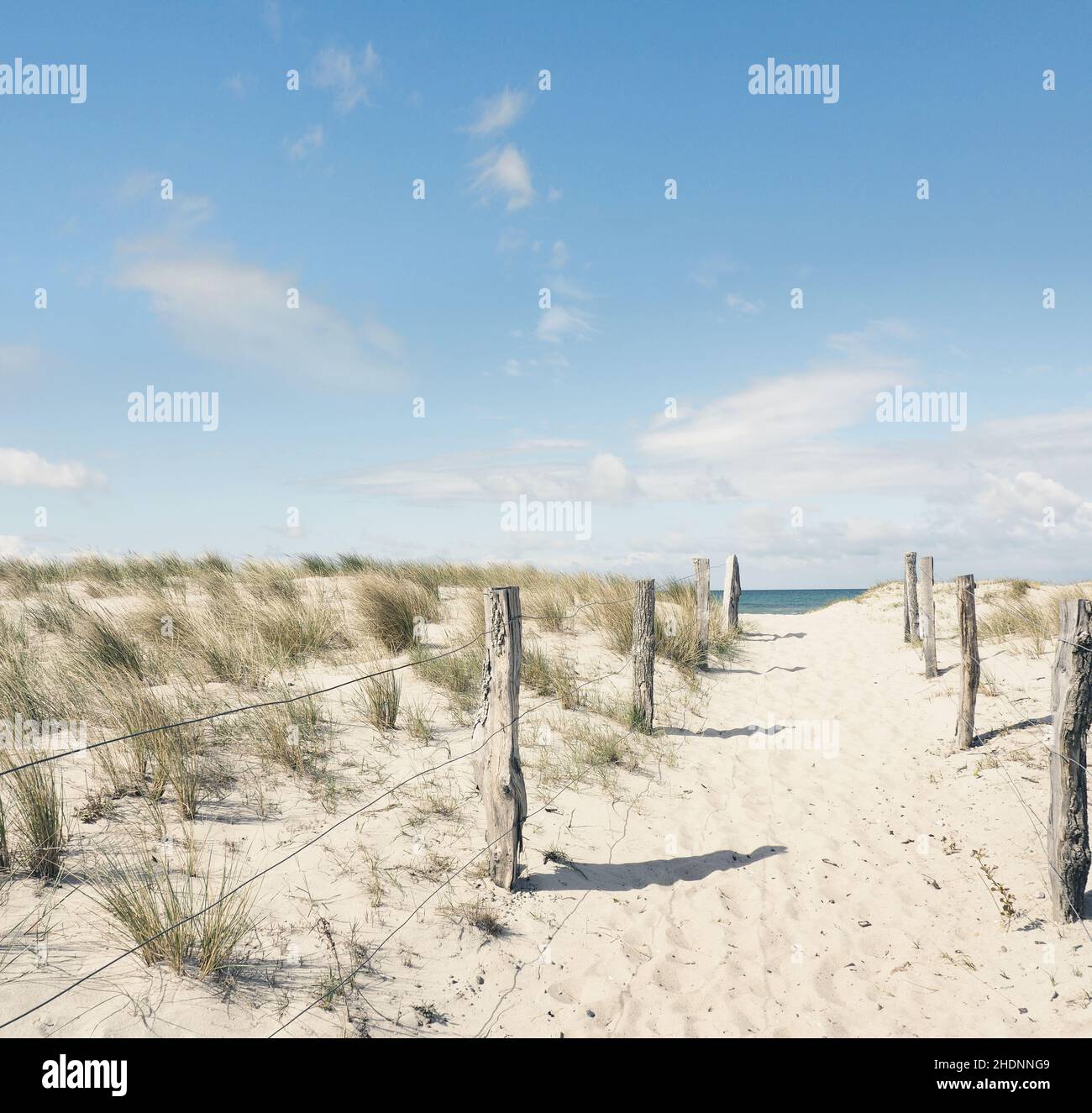 beach, beach coast path, beaches, seaside, coast paths Stock Photo - Alamy