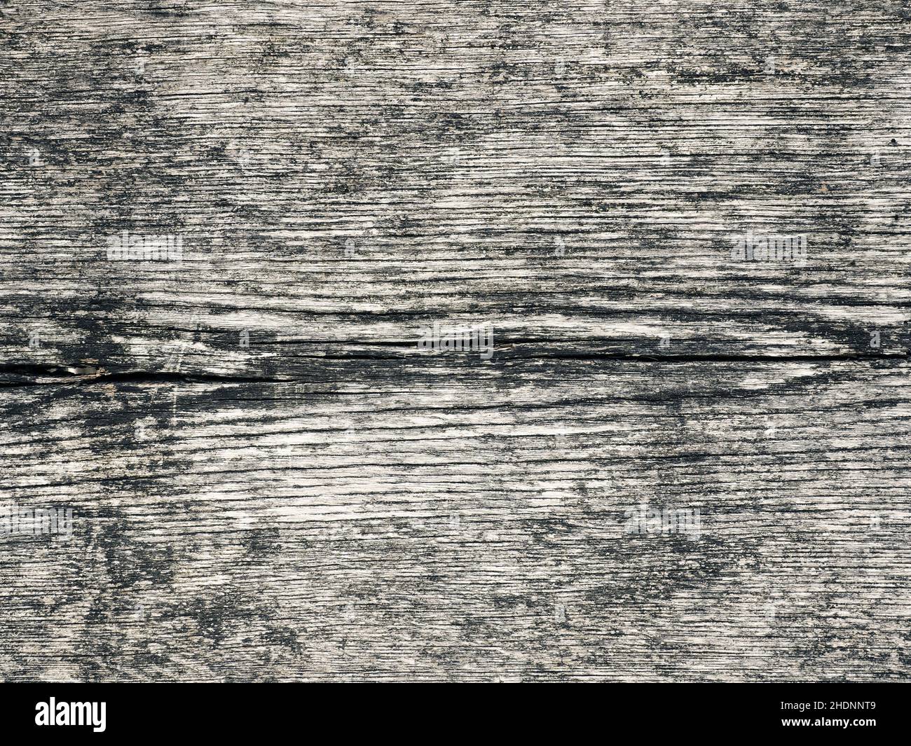 wood, wood grain, structure, woodland, woodlands, woods, wood grains ...