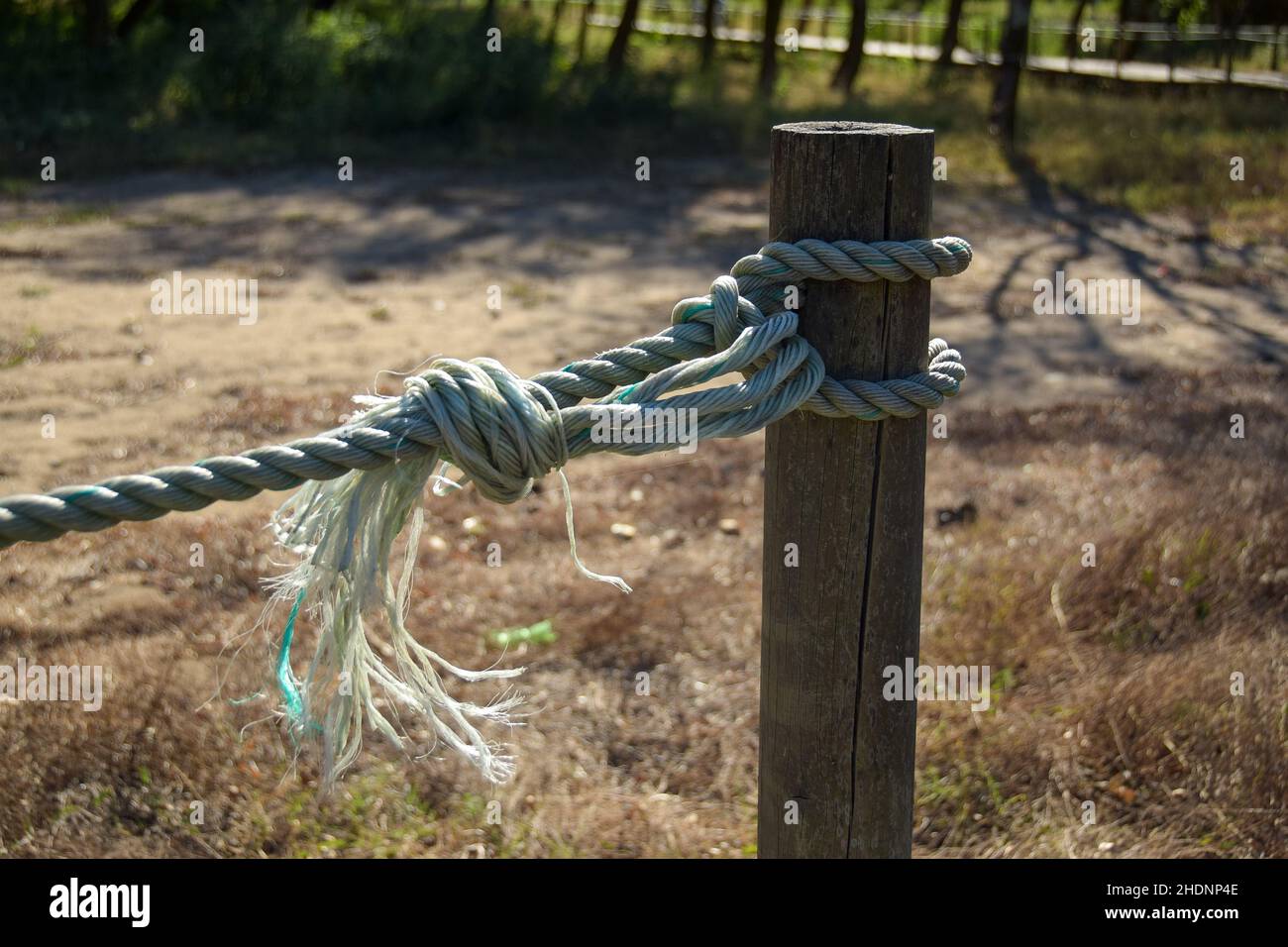 Node pole hi-res stock photography and images - Alamy