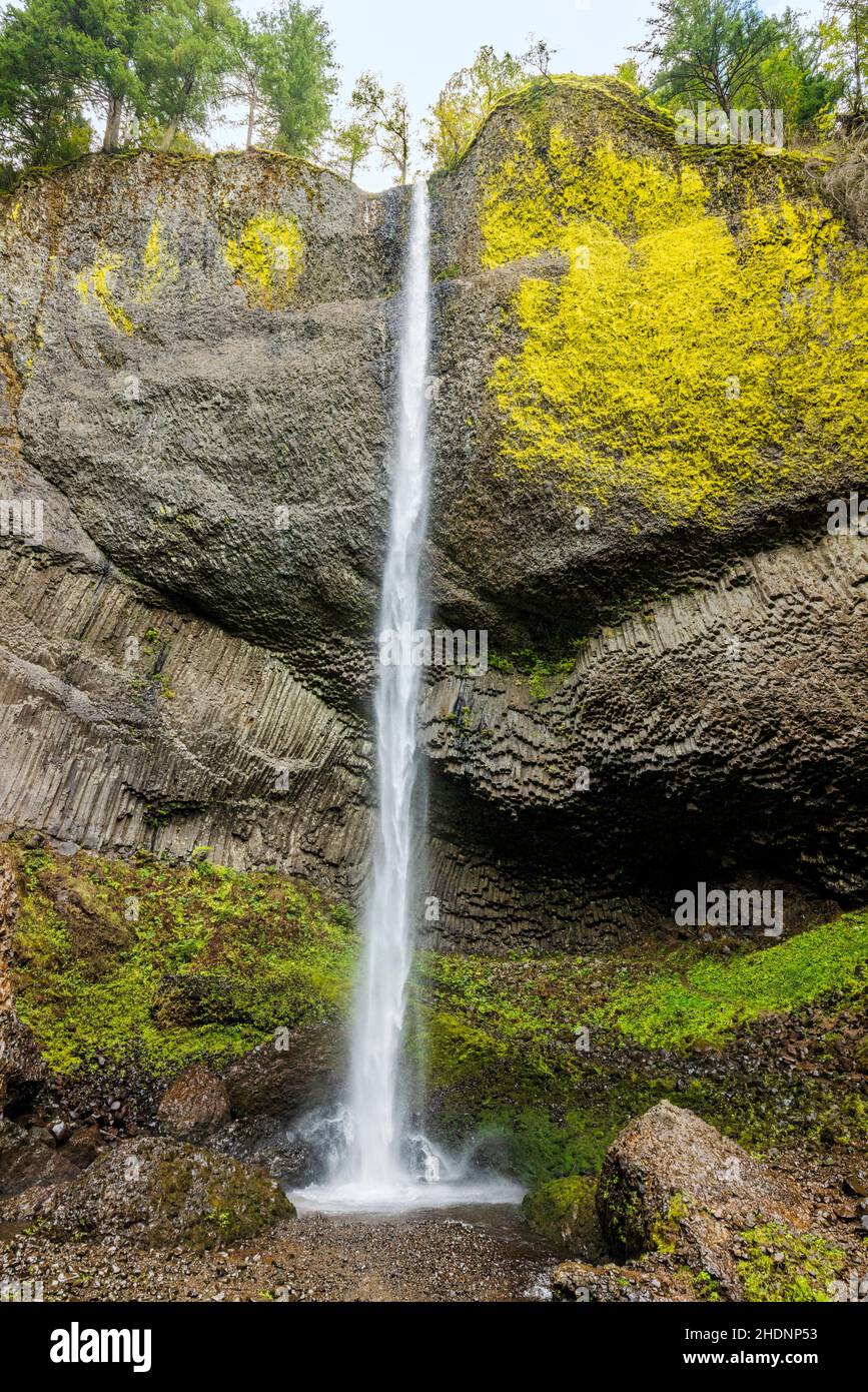 Latourell Falls, located in the Columbia River Gorge in Oregon, plunges ...