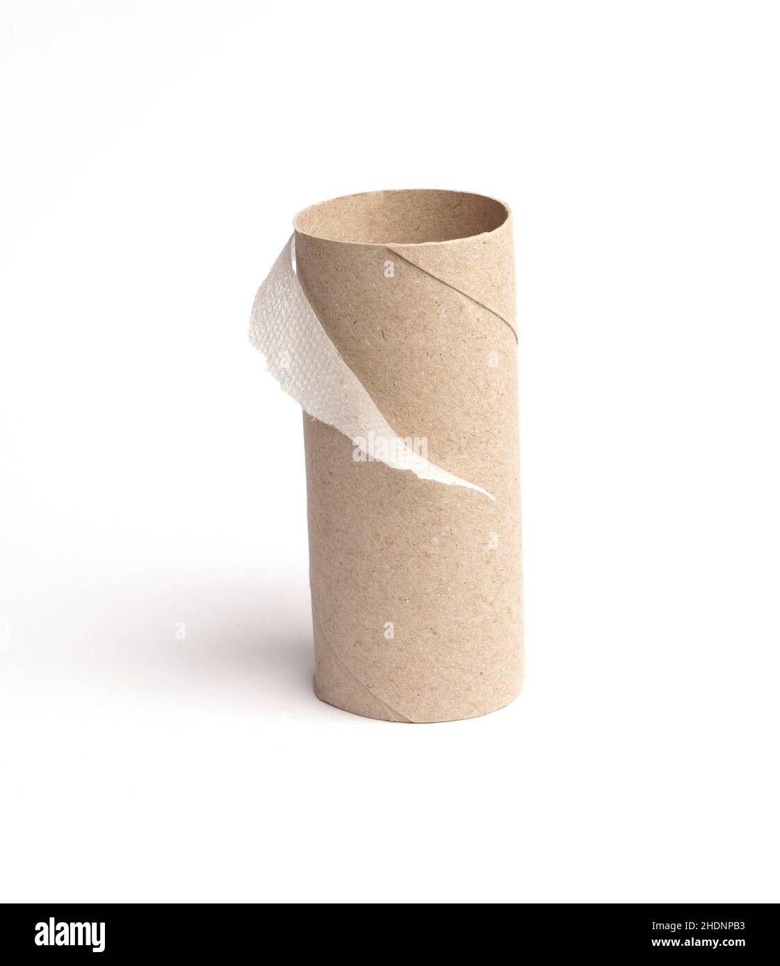 bog role, toiletpaper, bog roles, toilet paper, toiletpapers Stock ...