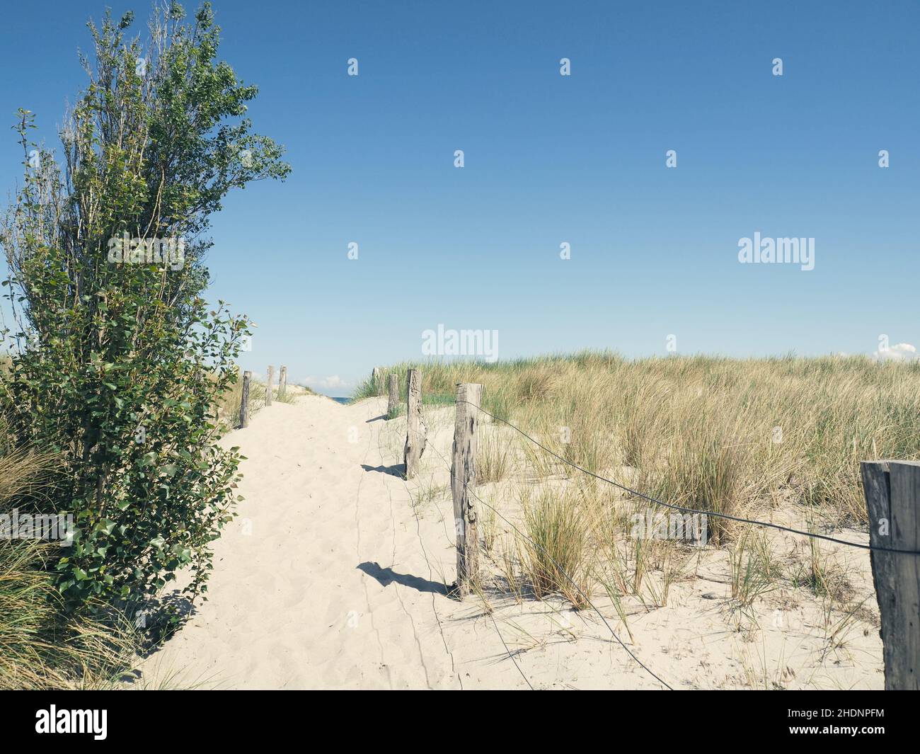 dune, beach coast path, dunes, coast paths Stock Photo - Alamy