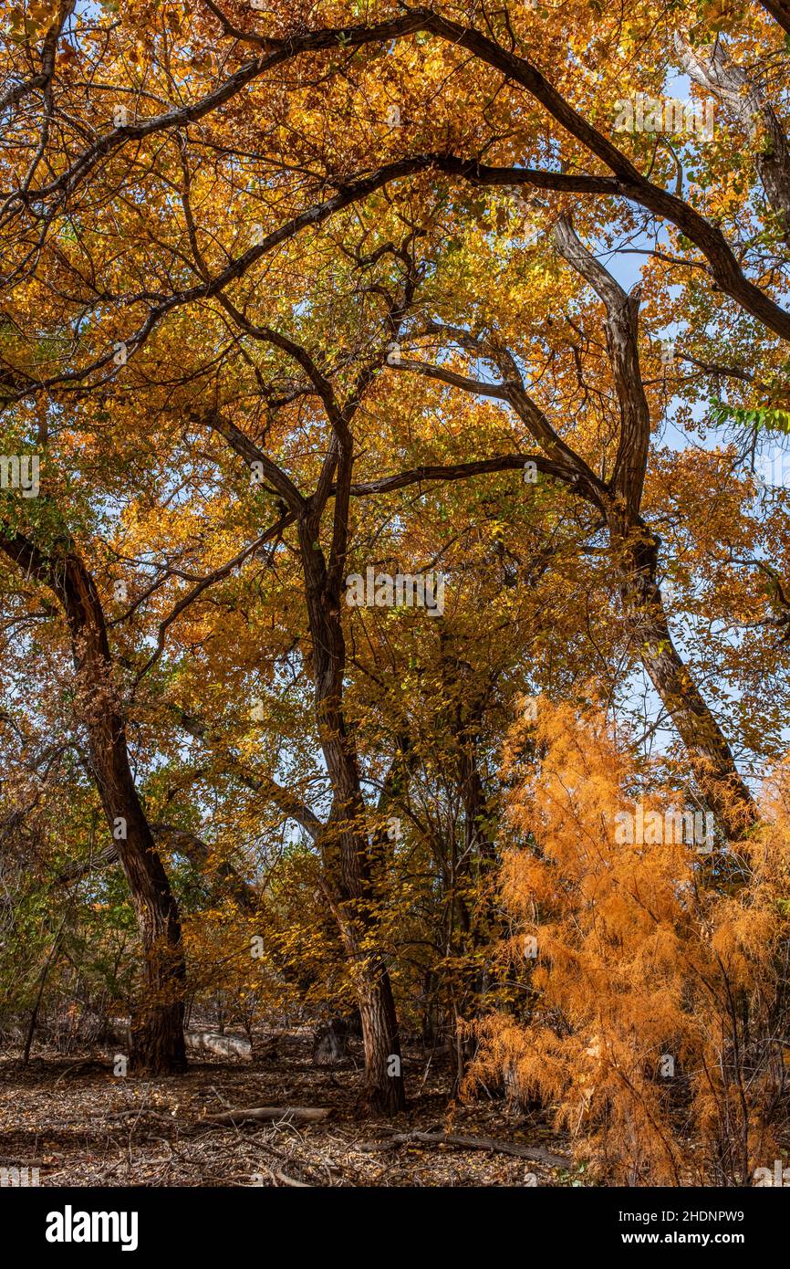 Albuquerque basin hi-res stock photography and images - Alamy