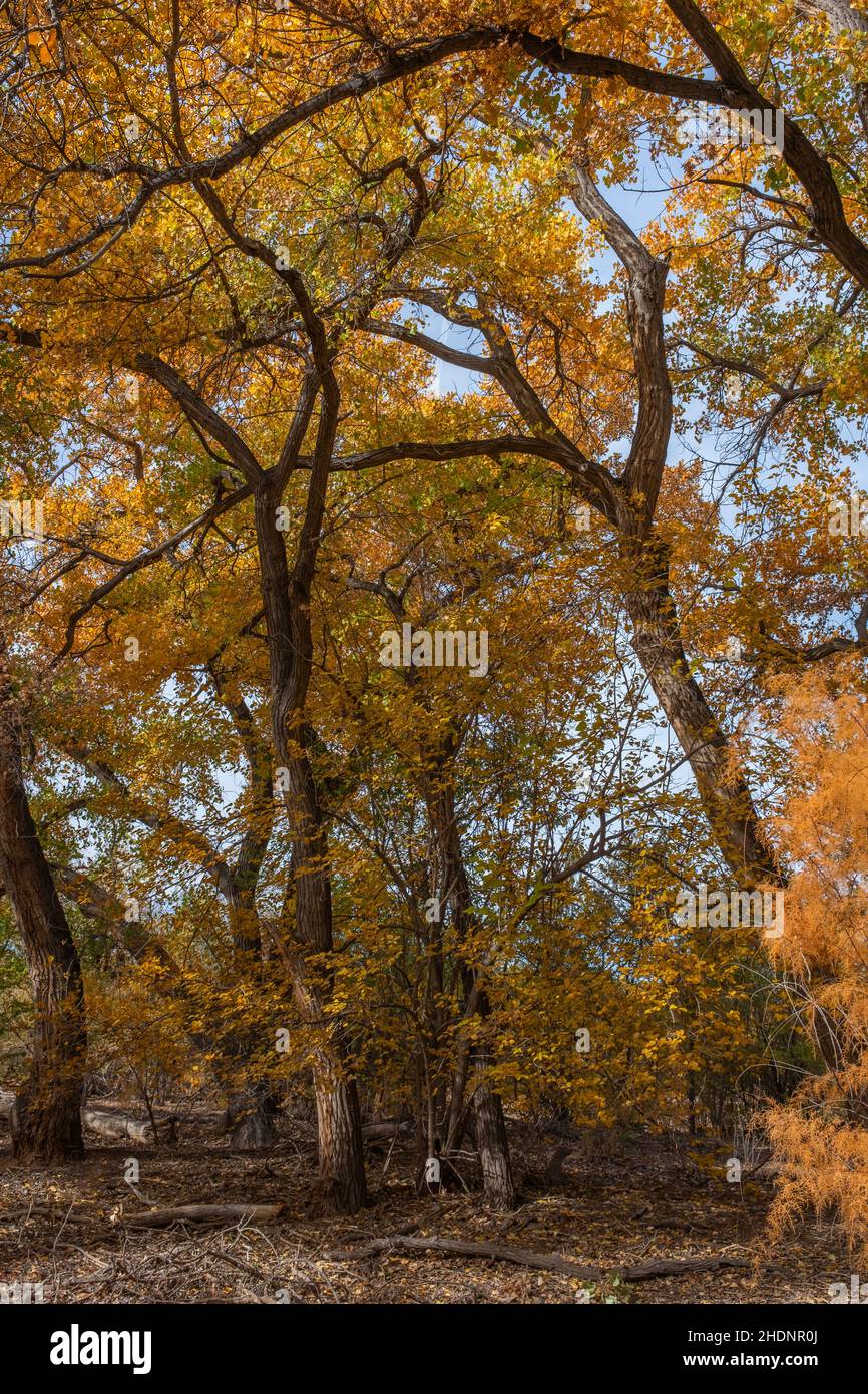 Albuquerque basin hi-res stock photography and images - Alamy