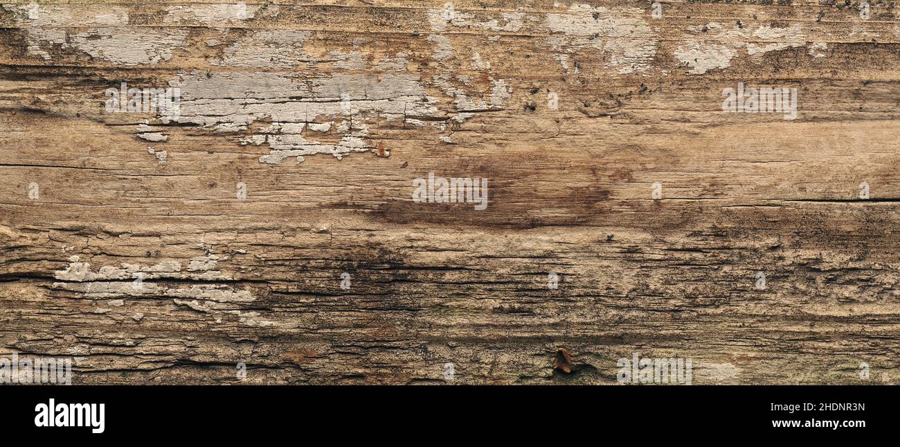 wood, surface, structure, woodland, woodlands, woods, surfaces ...