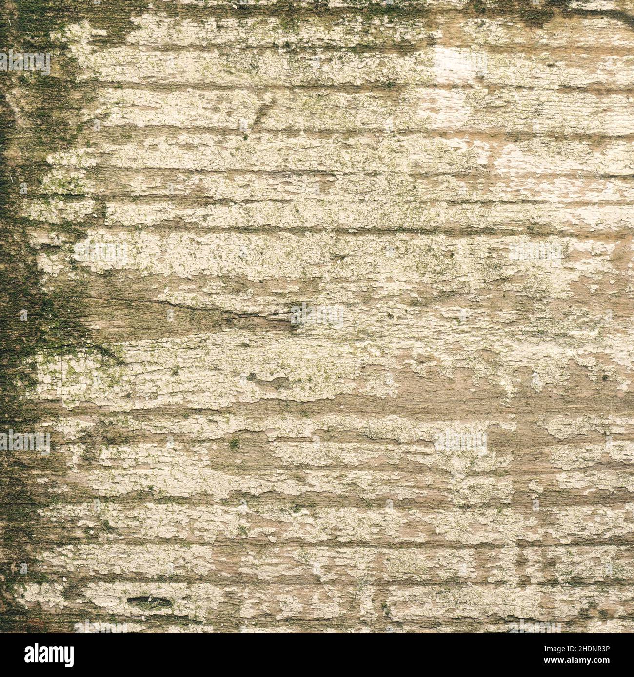 wood, structure, lines, woodland, woodlands, woods, structures, line ...