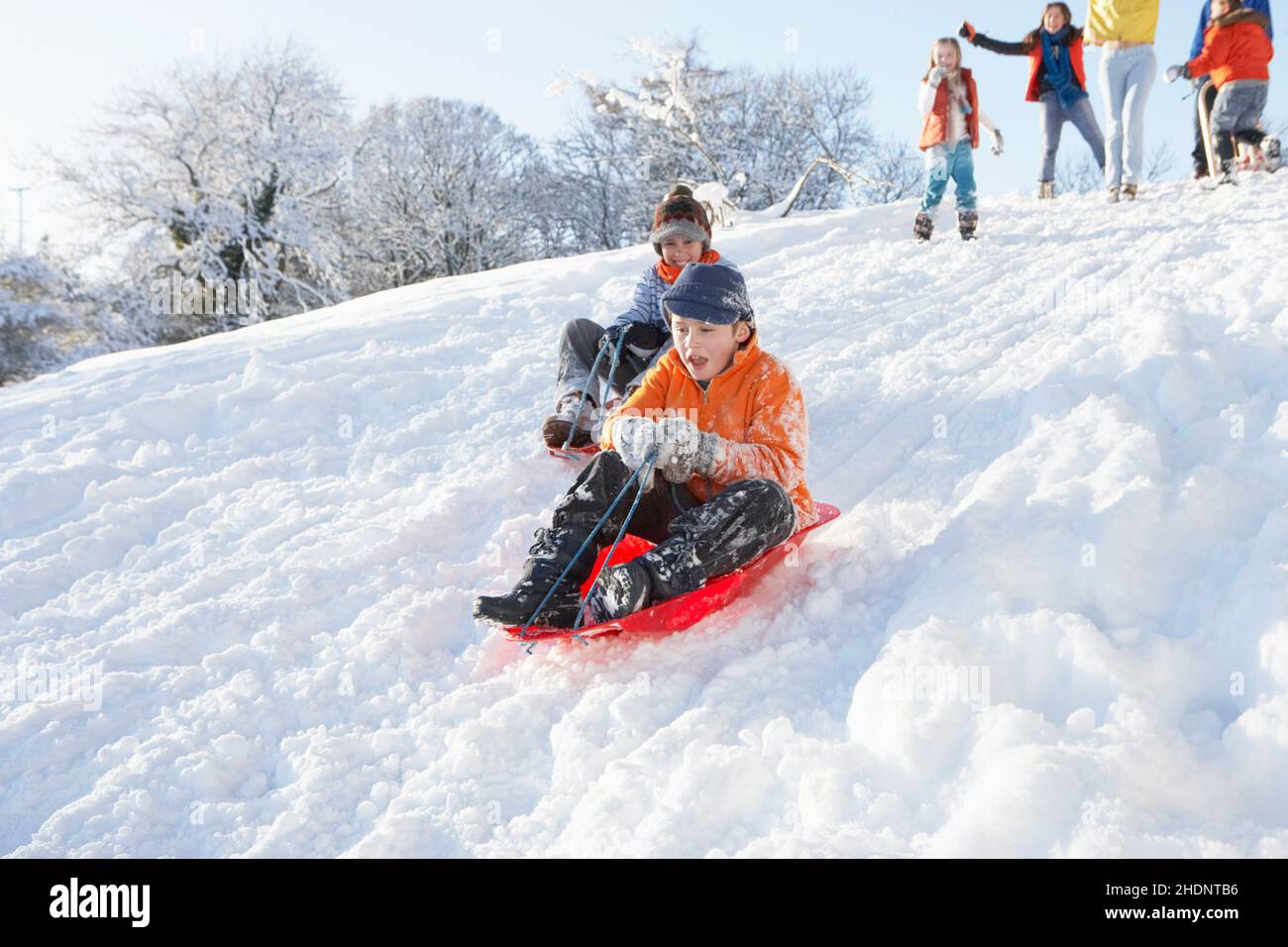 sledding, family, sledging, families, tobogganing Stock Photo - Alamy
