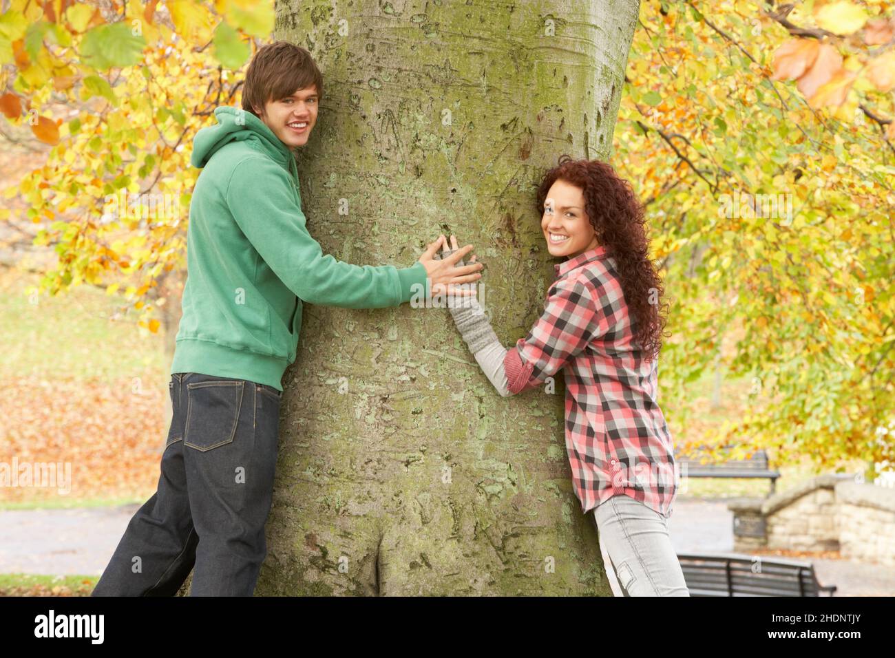 couple, embracing, tree trunk, nature, pairs, cuddling, hug, hugging ...