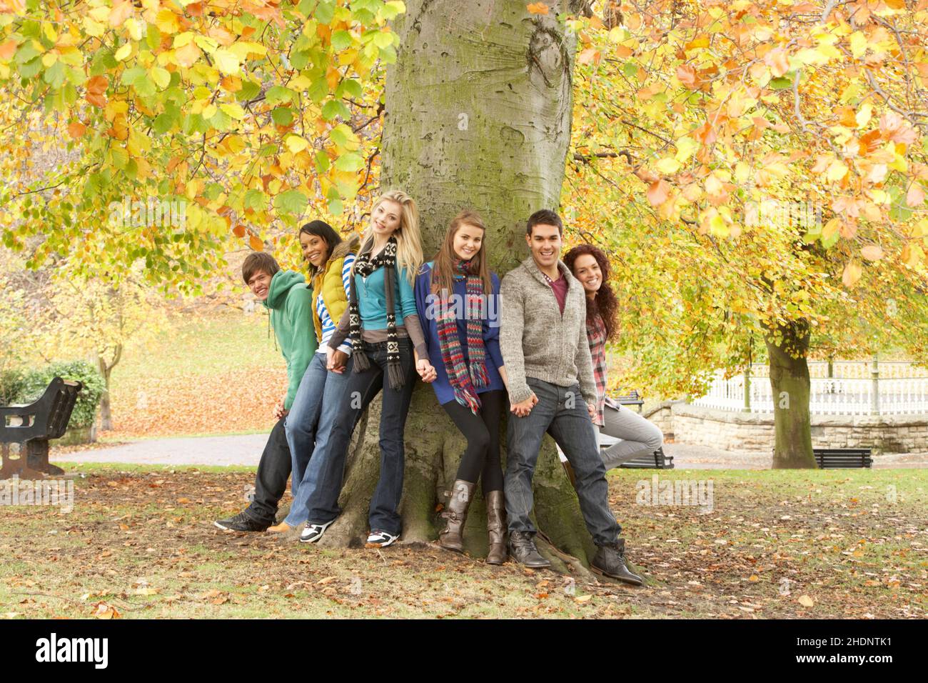 togetherness, friends, clique, cohesions, friend, cliques, friendship ...