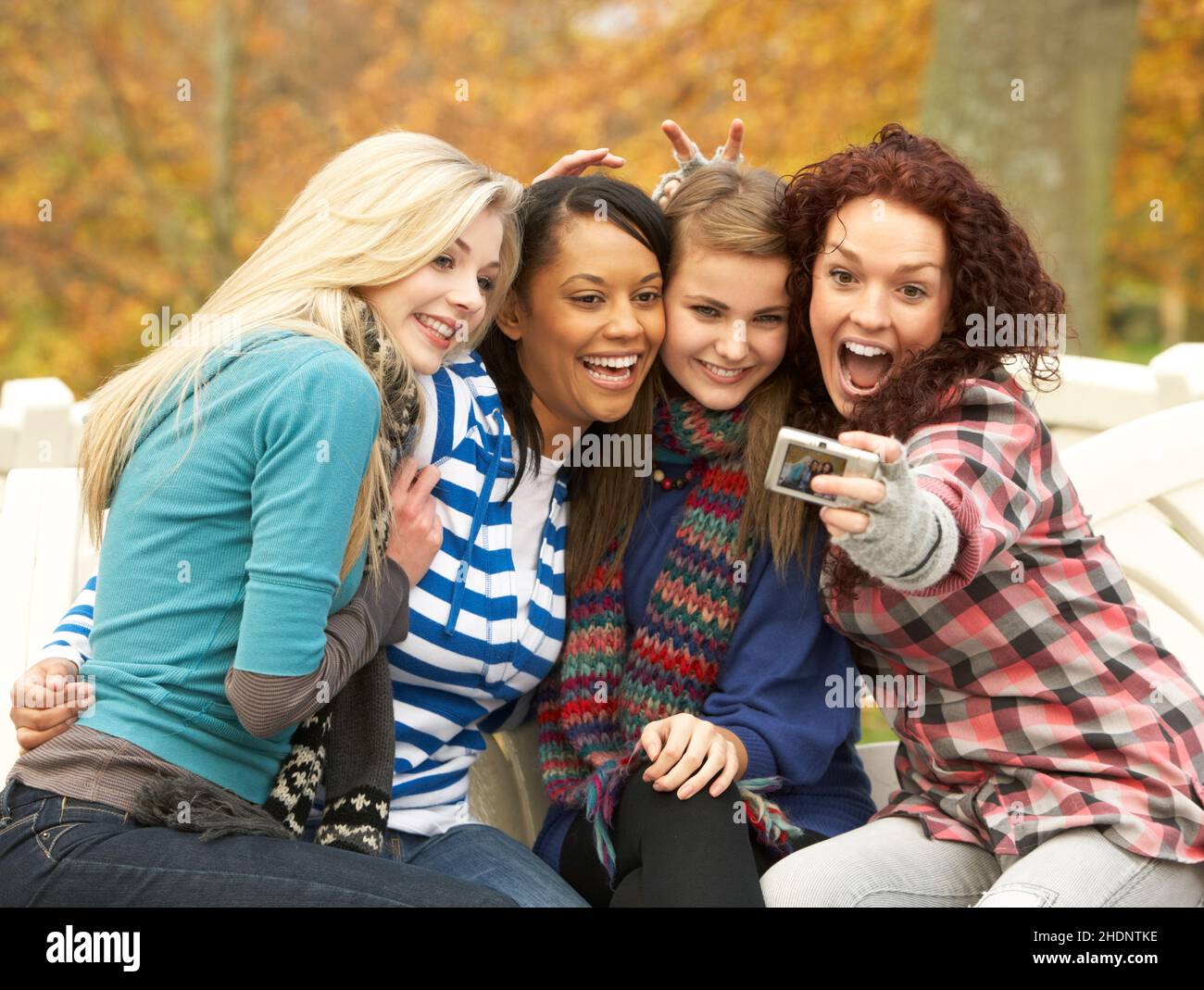 fun & happiness, friendship, photograph, friends, group photo, clique ...