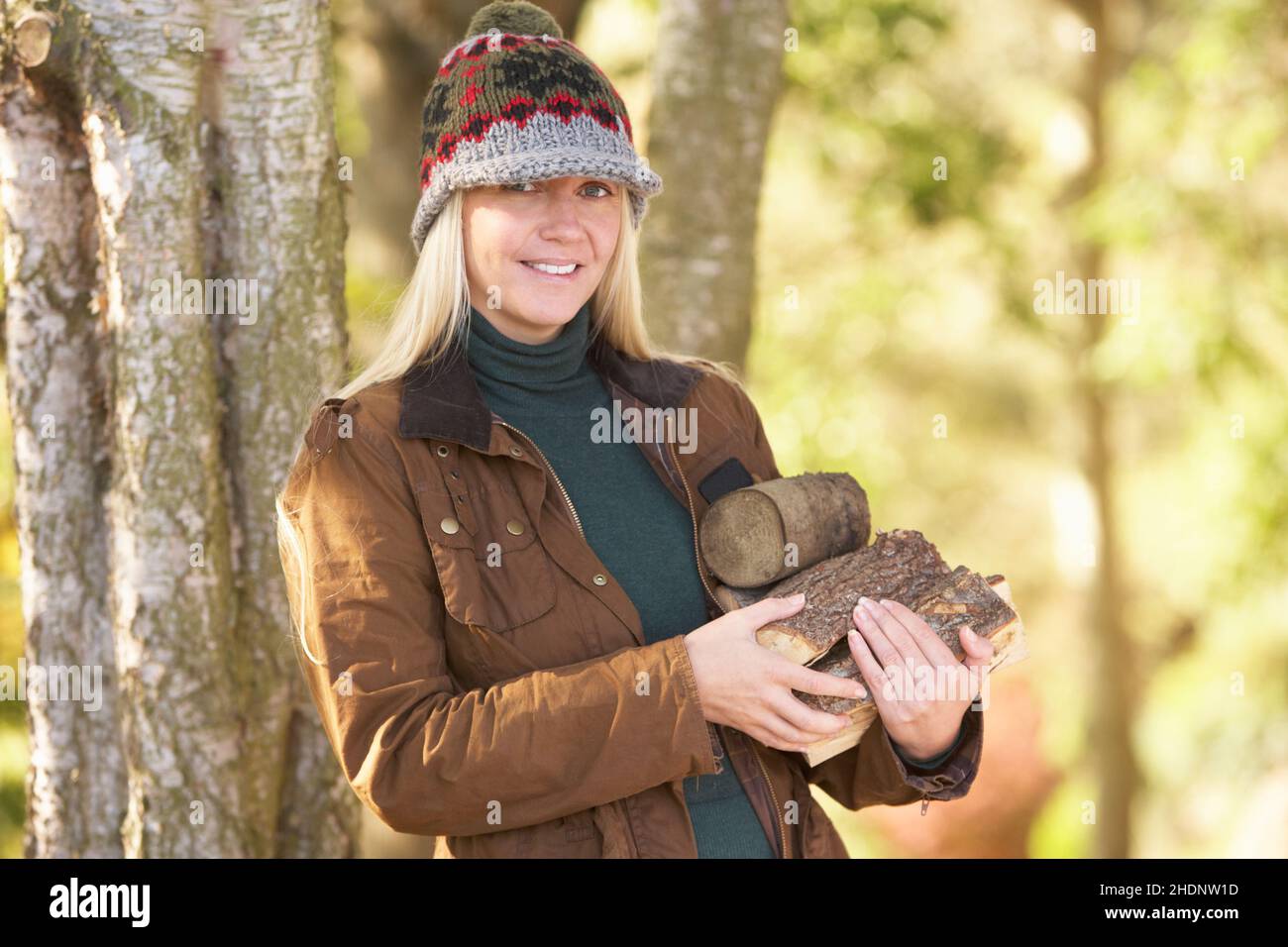 collecting, firewood, wood look, firewoods Stock Photo - Alamy