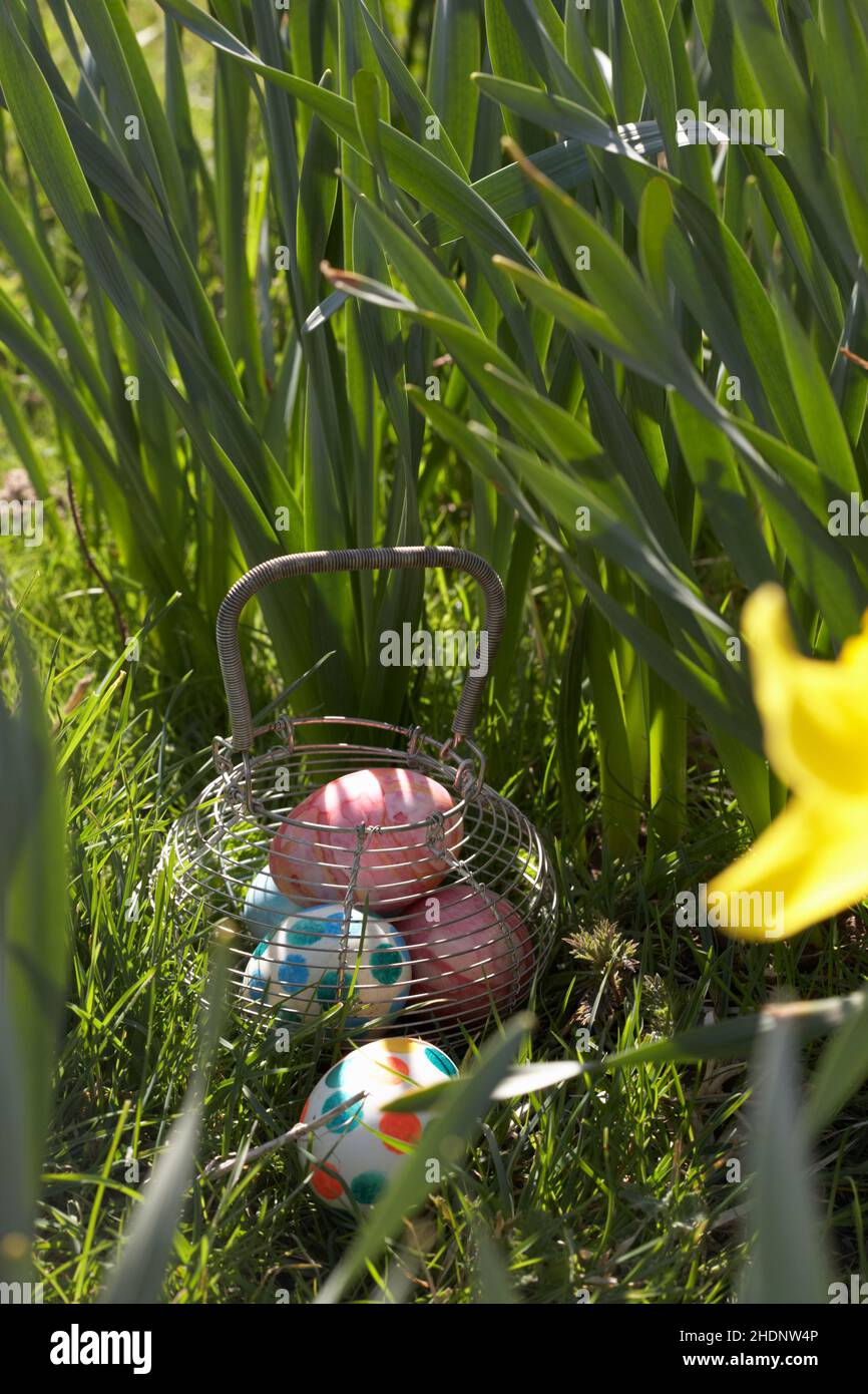 easter egg, easter egg hunt, easter eggs hidden, easter eggs, easter ...