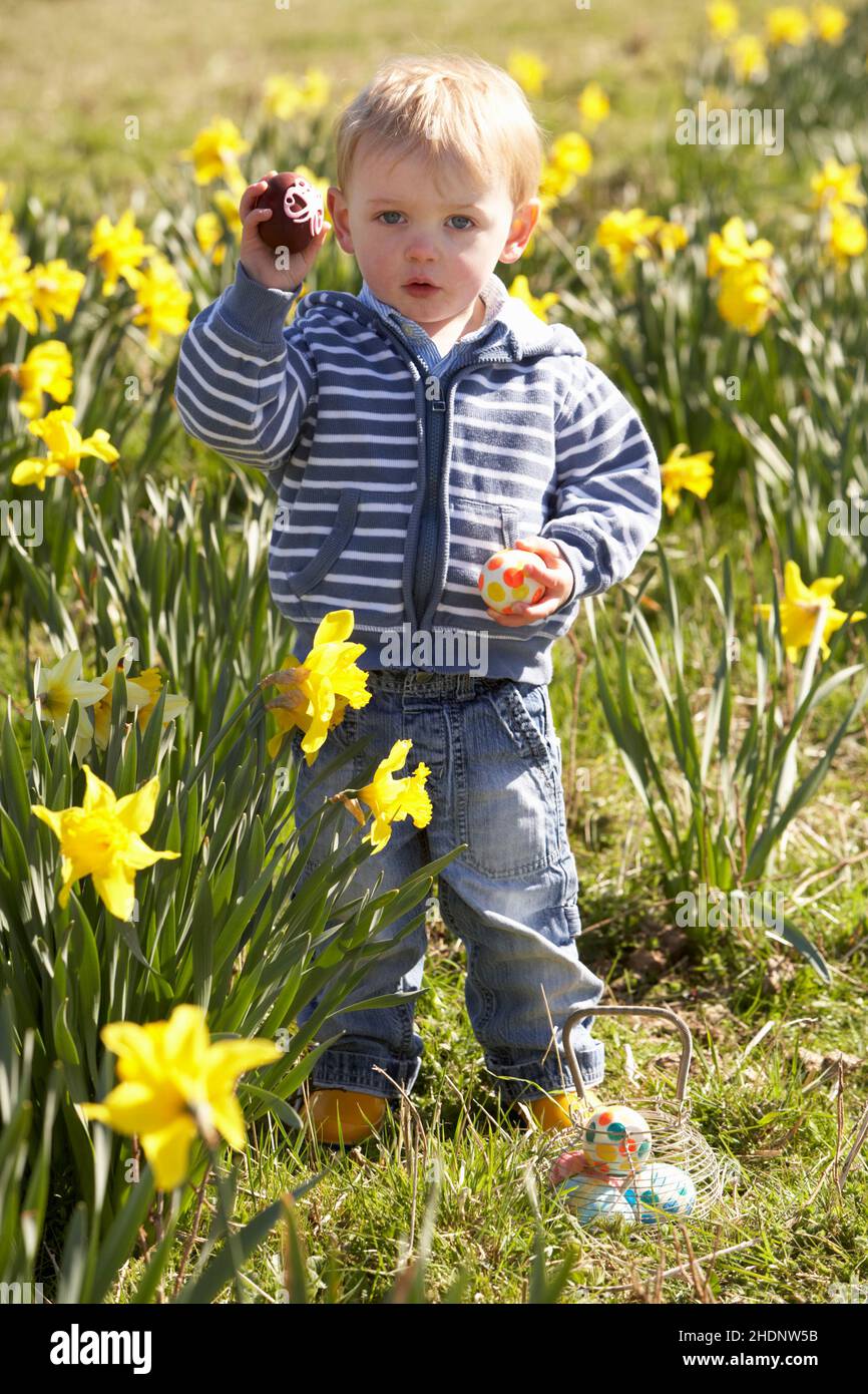 boy, easter, easter egg hunt, boys, easters, easter egg hunts Stock ...